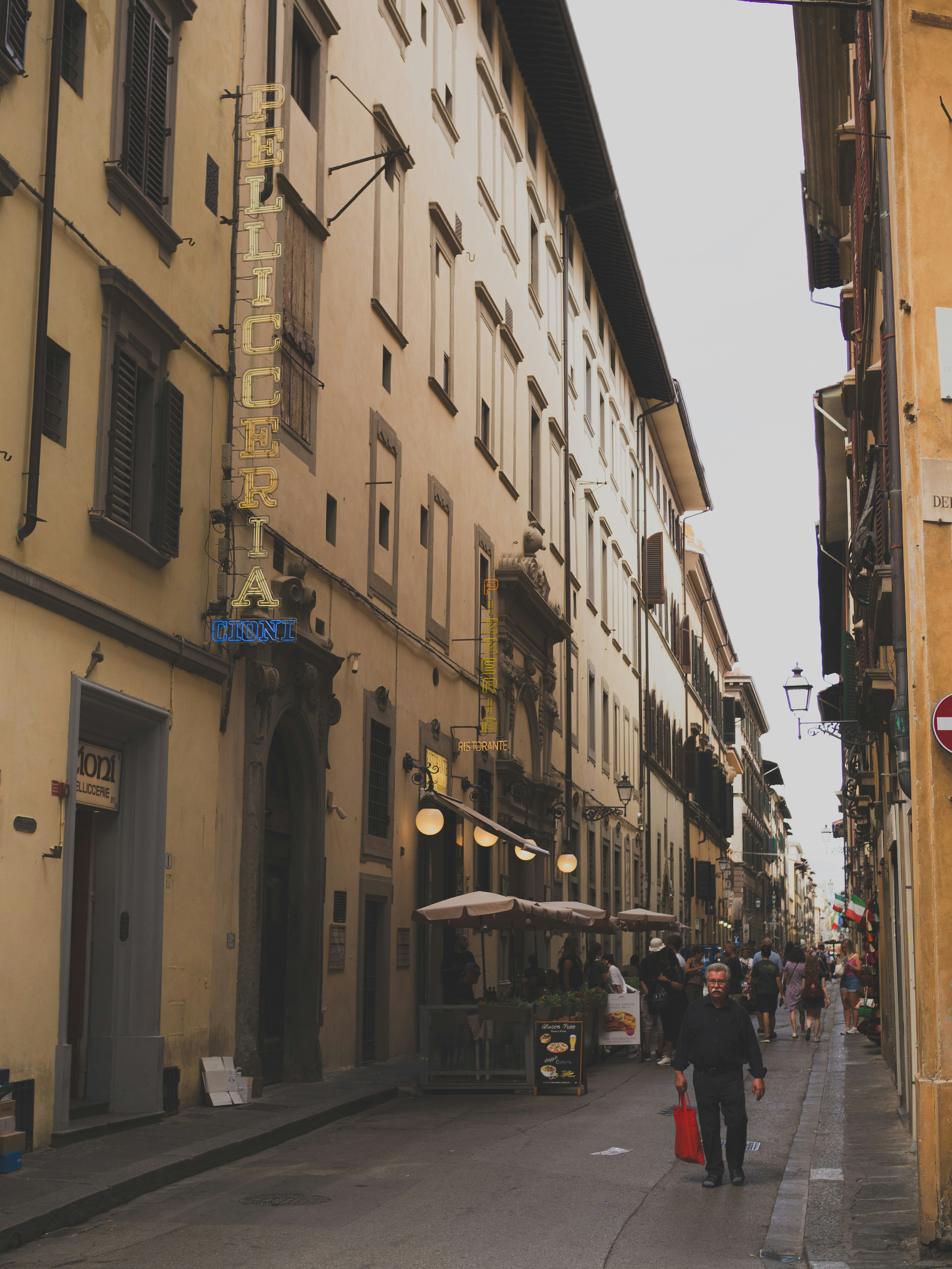 Excursion of the Italian Gentleman