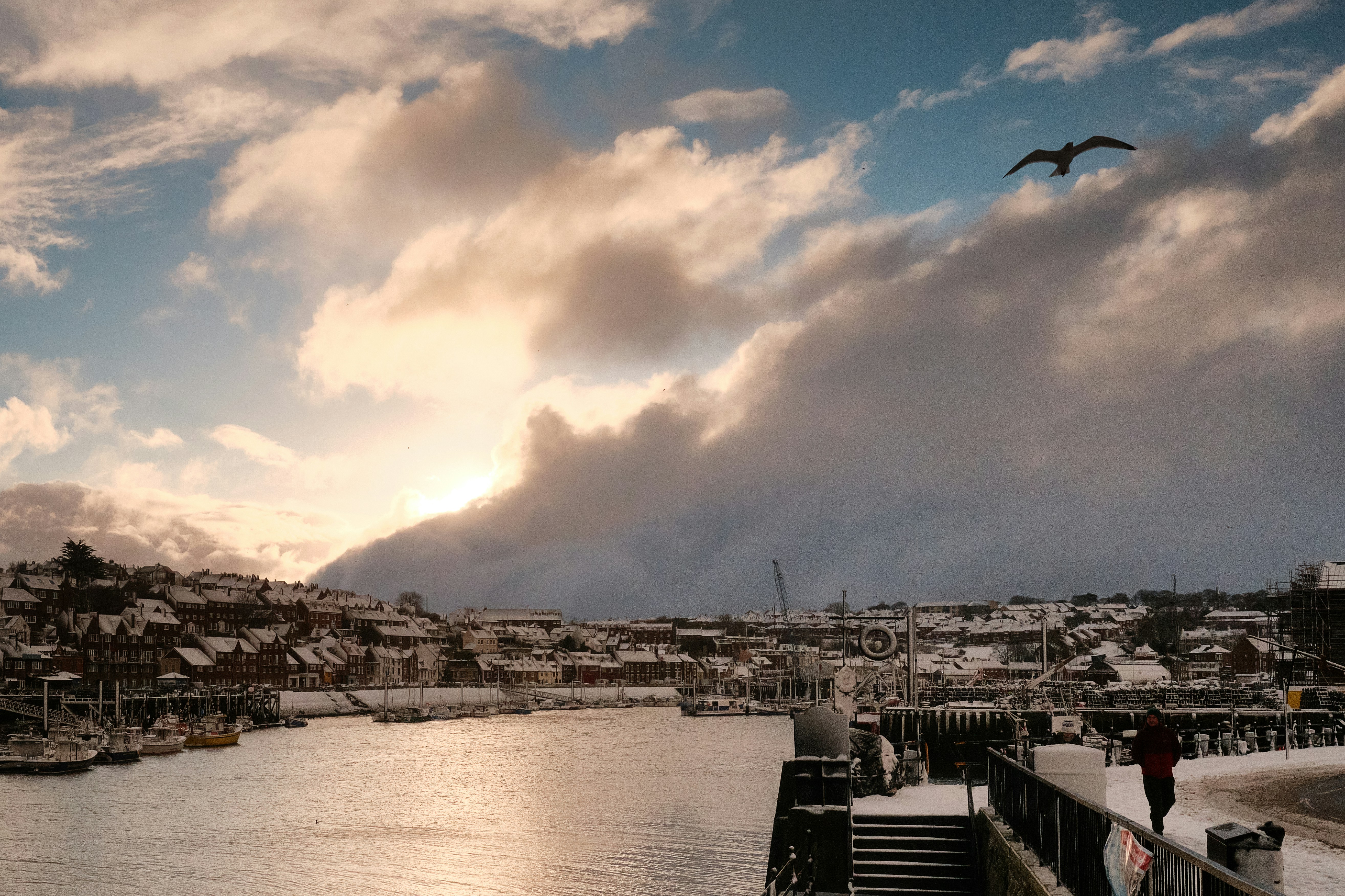 Harbor at Dusk: Seagull over the Quiet Marina