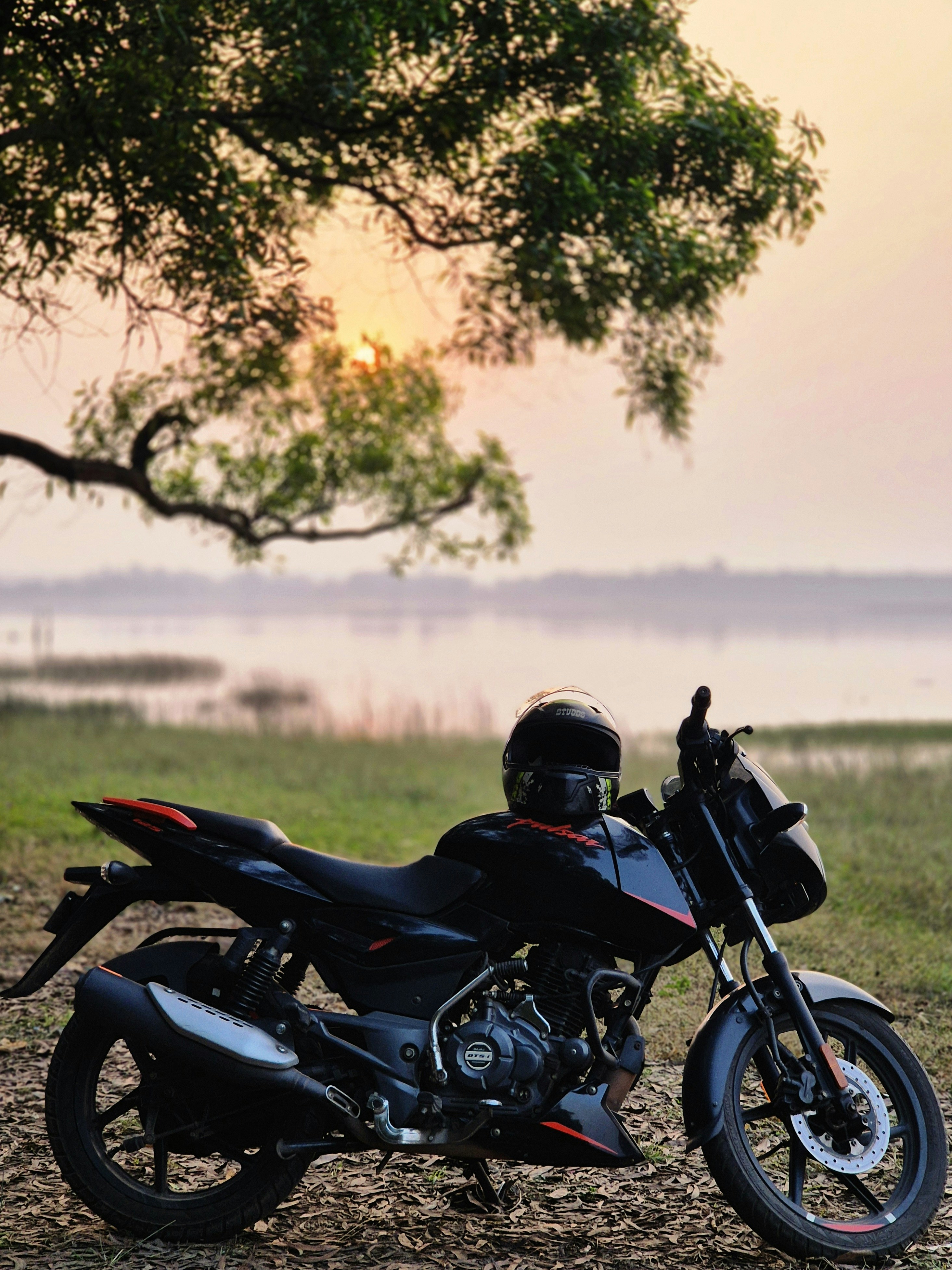 Midnight Rider by the Lakeside at Sunset