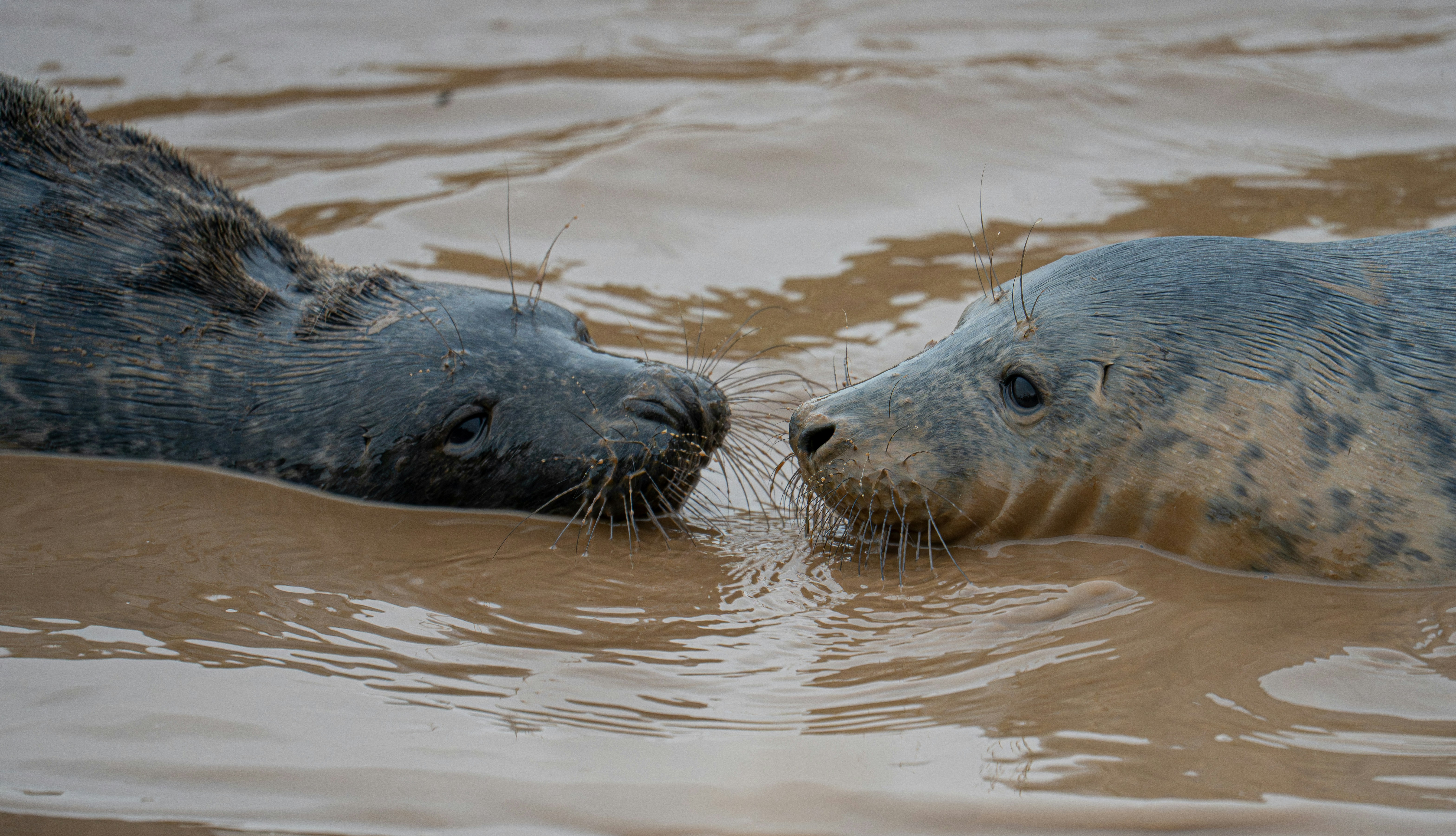 Photo by Julia Fiander with Sony Alpha 7 IV