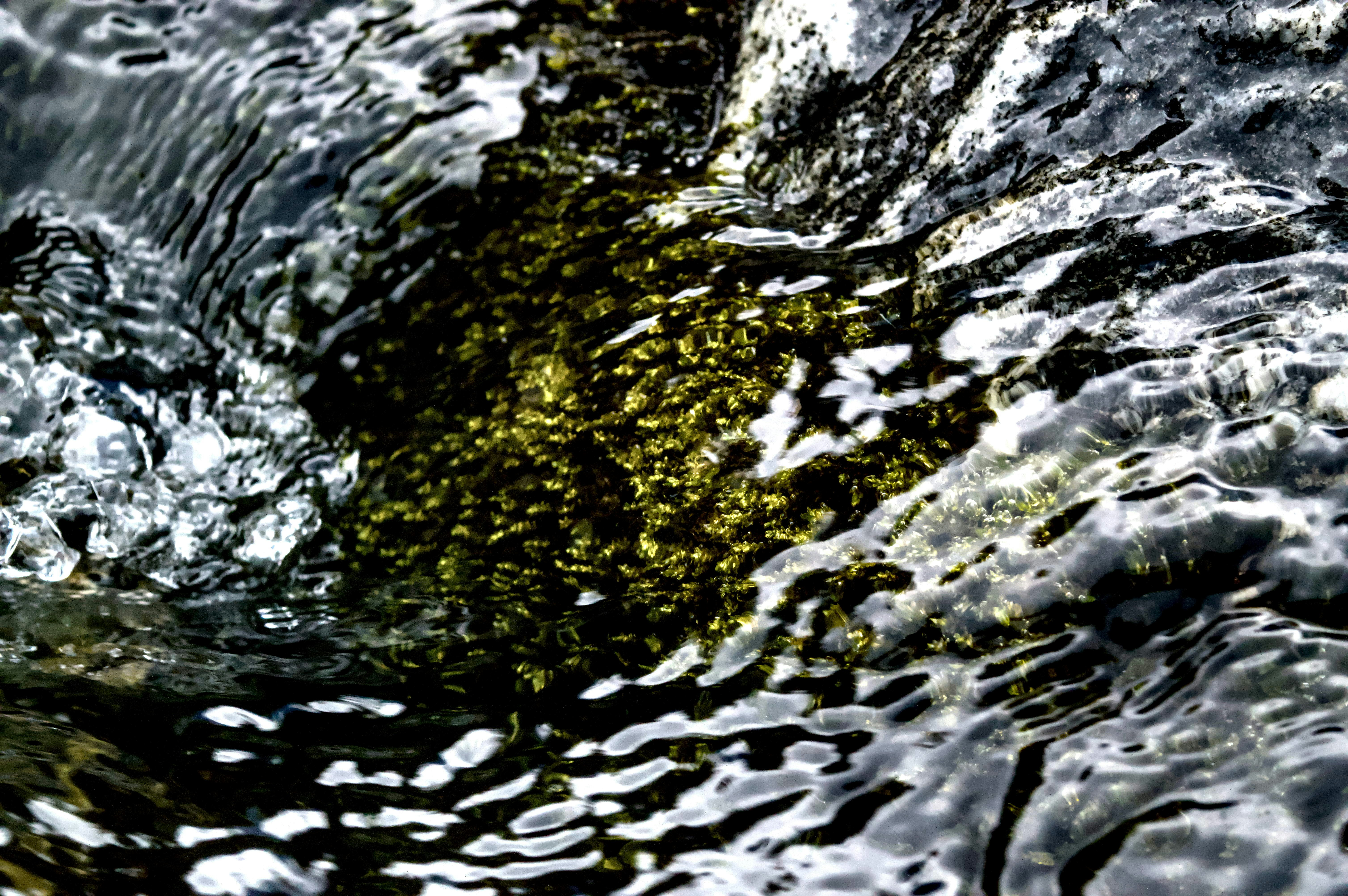 Ripple Portrait: Abstract Water Currents Over Mossy Rock