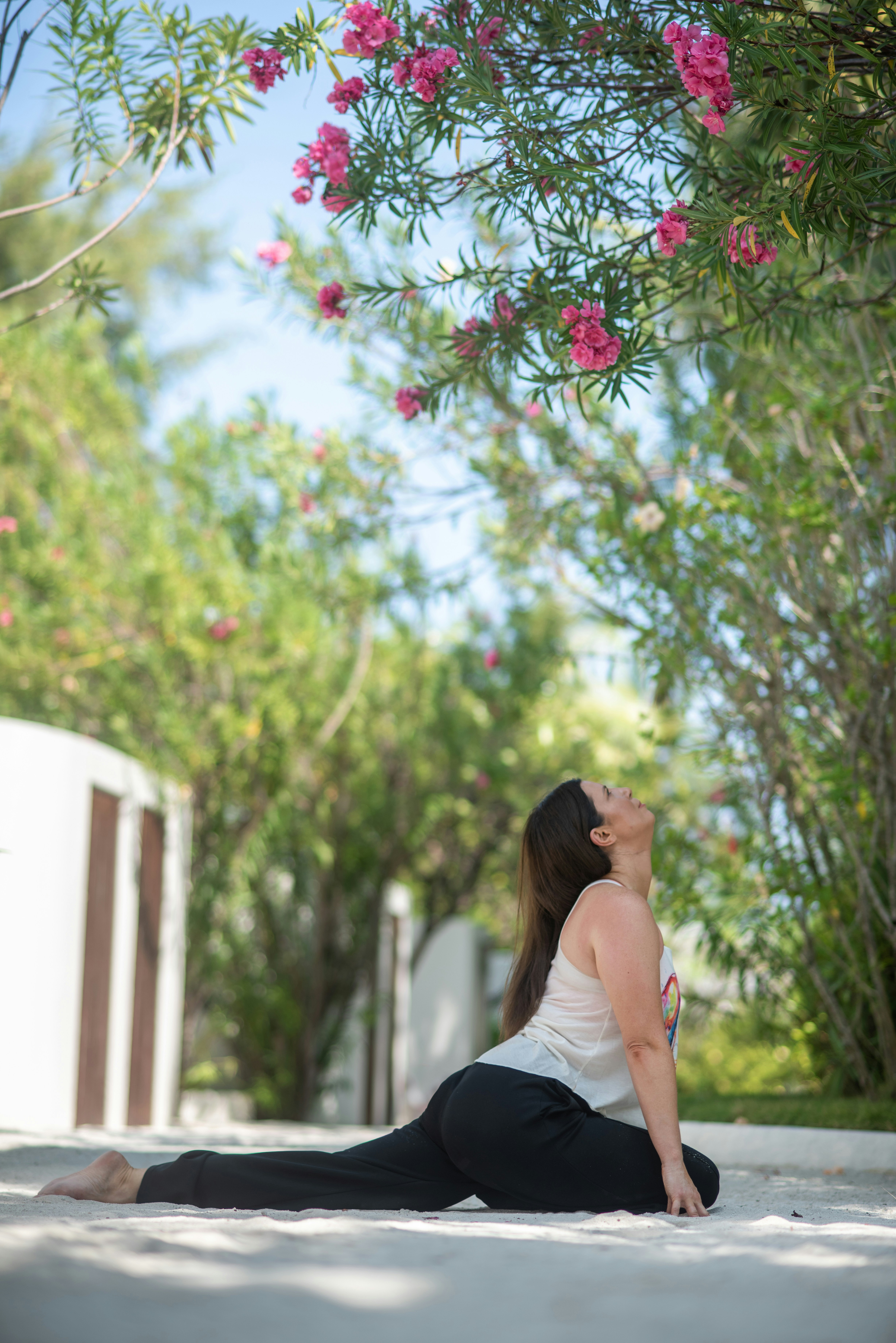 Low-angle Stretch Under Blossom Canopy