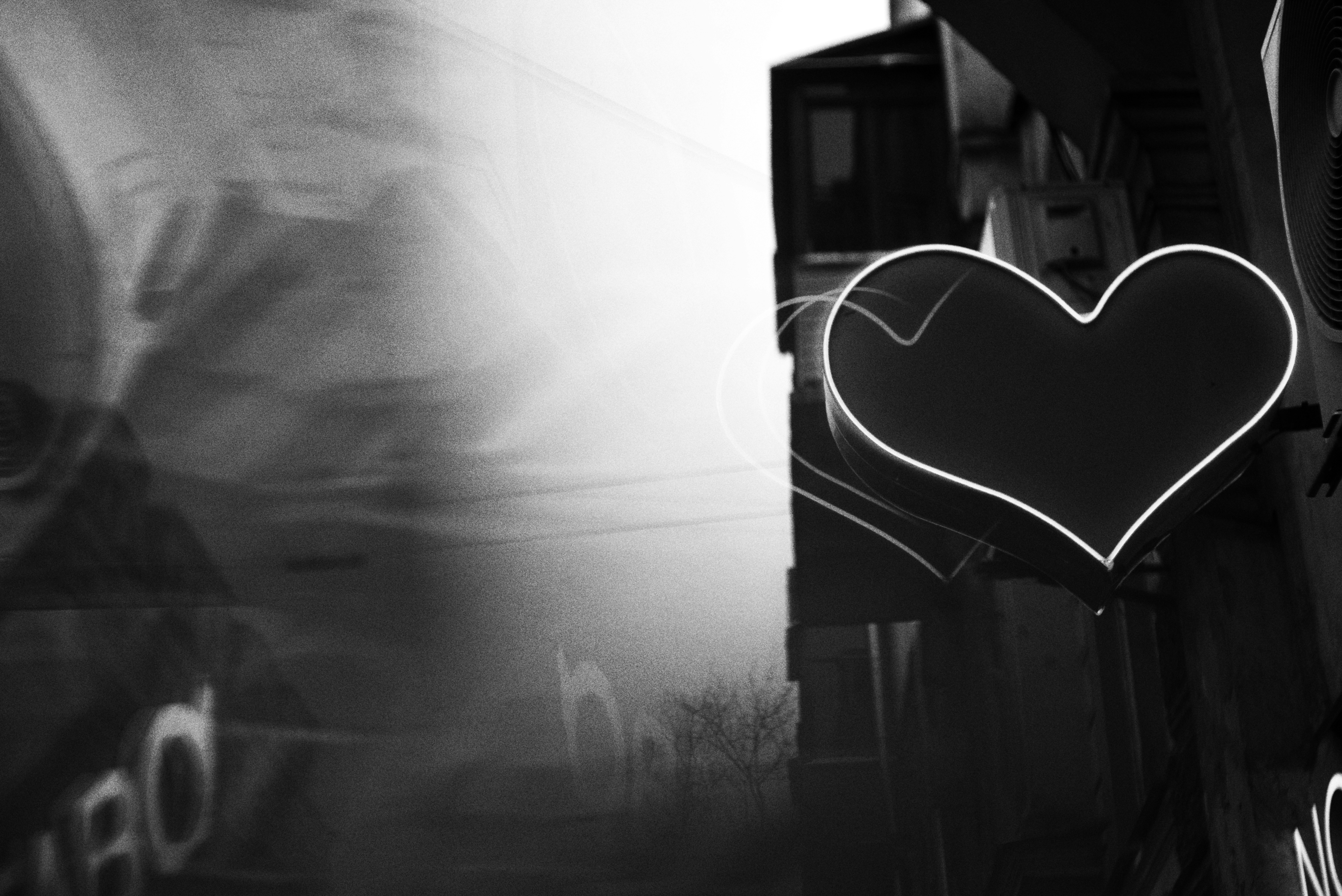 Neon Heart in the Night: A Quiet Neon Sign Portrait