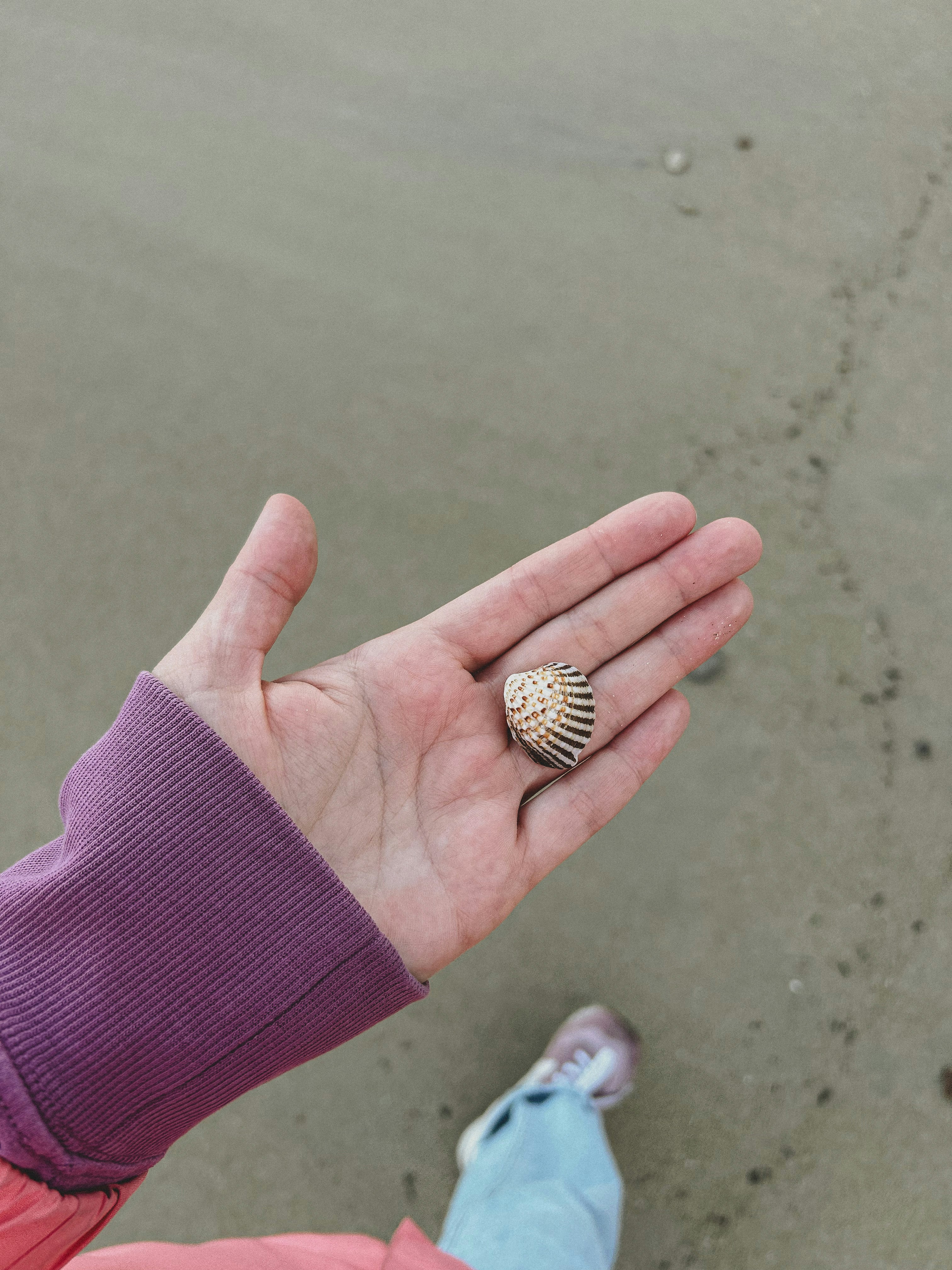 Shell Wanderer: A Crescent Ring Resting in an Open Palm