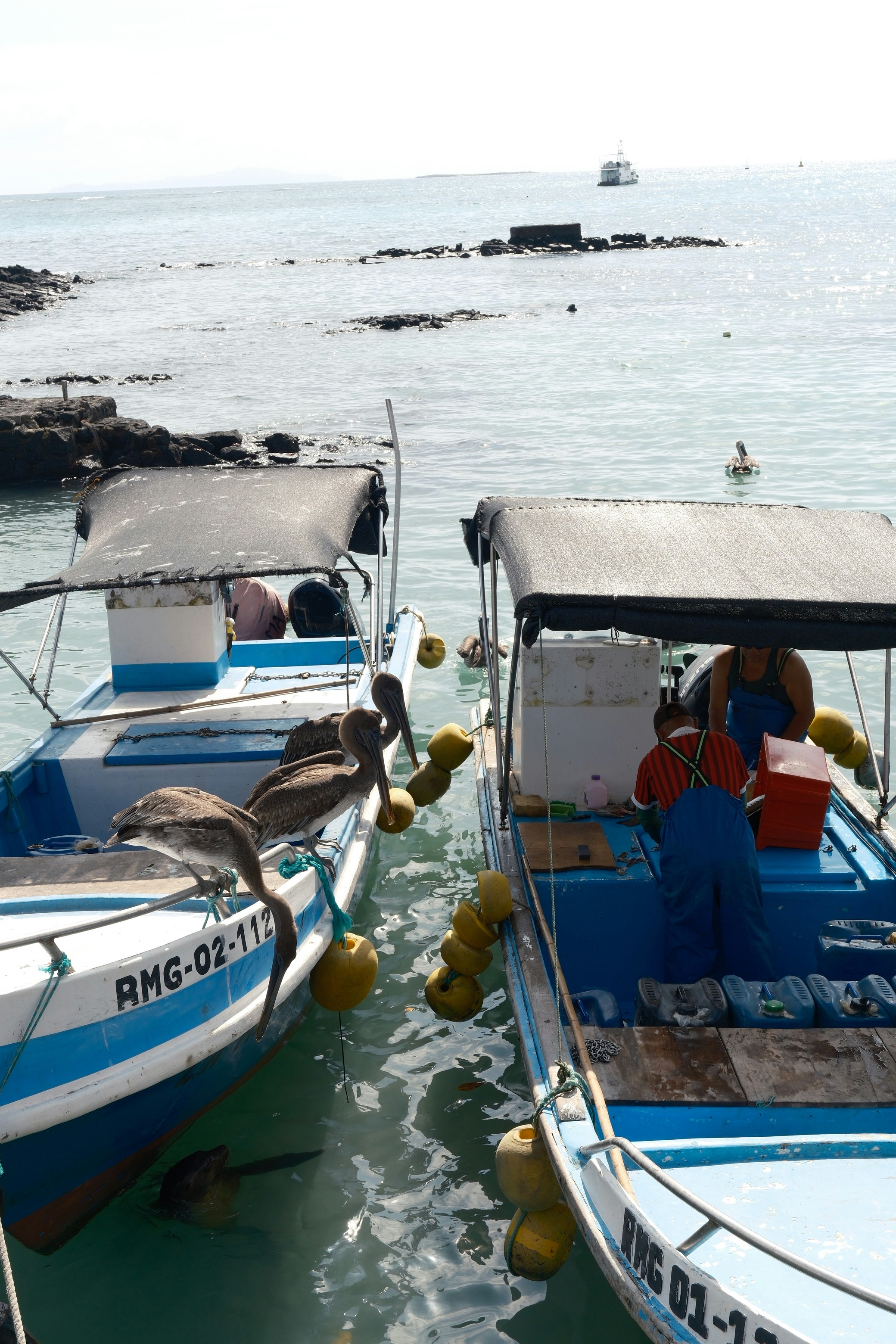 Dockside Duo: Lobster Boats and Sunlit Sea