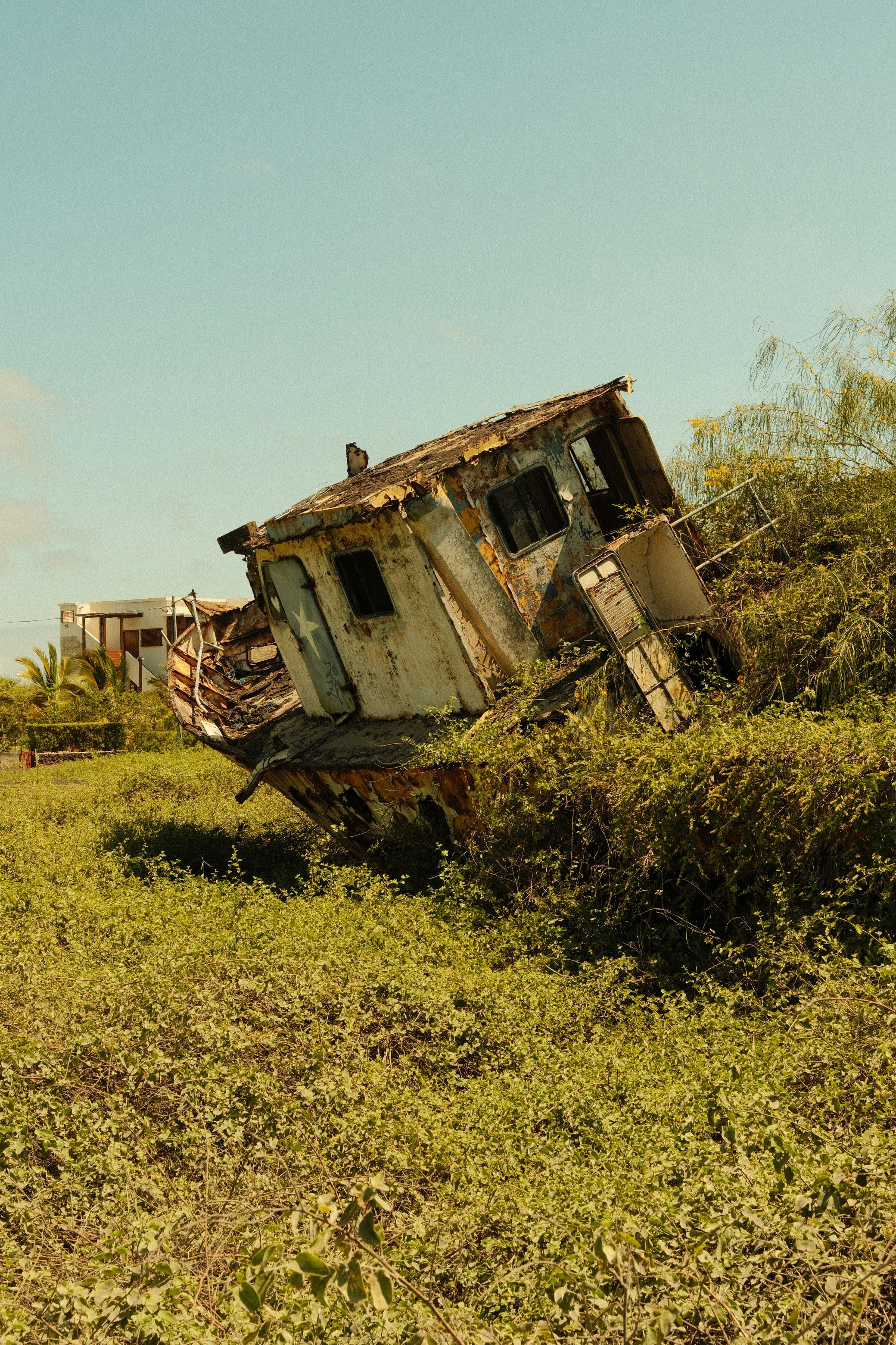 Tilted relic: a derelict hut sinking into a sunlit field
