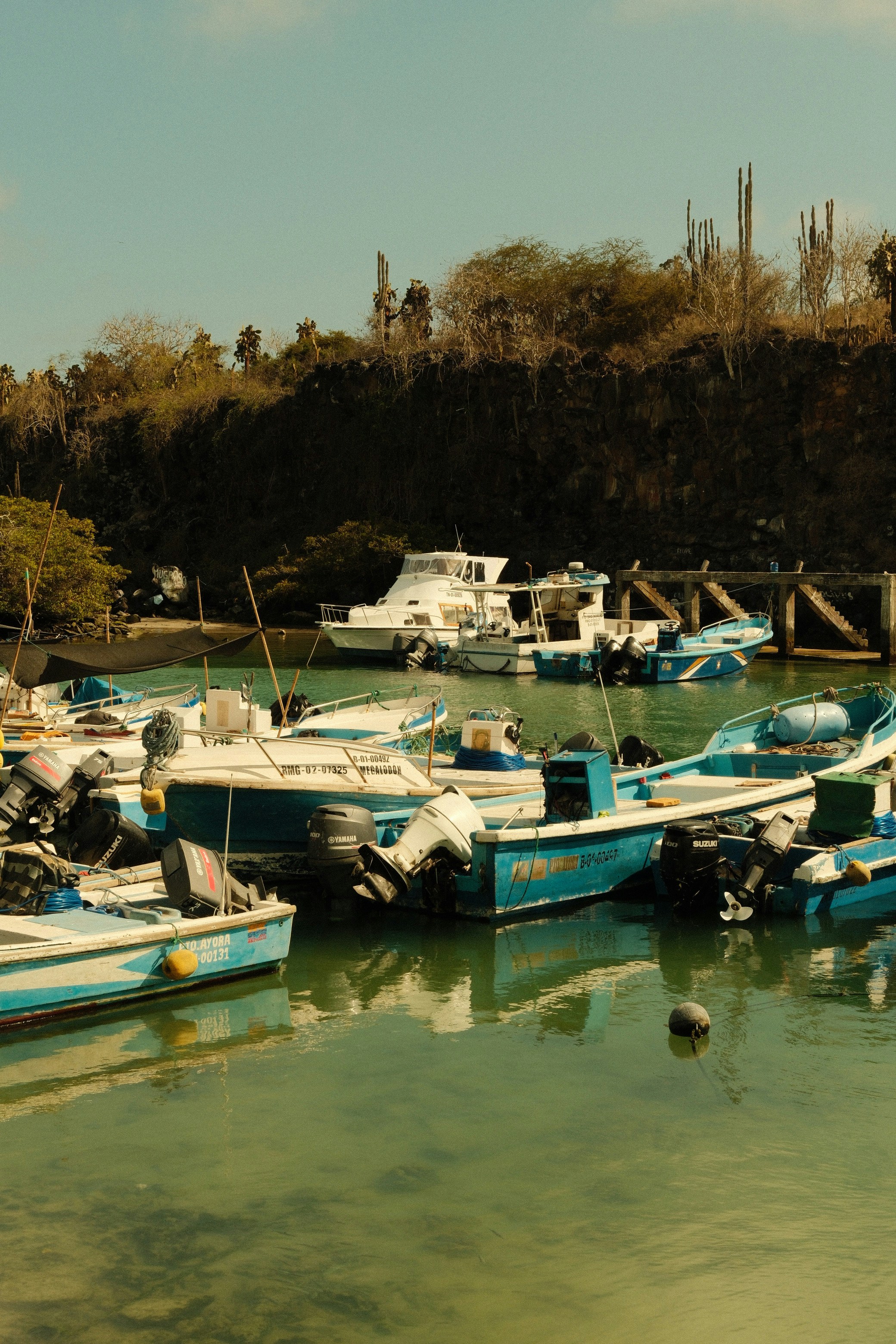 Several boats docked in a clear, green harbor.