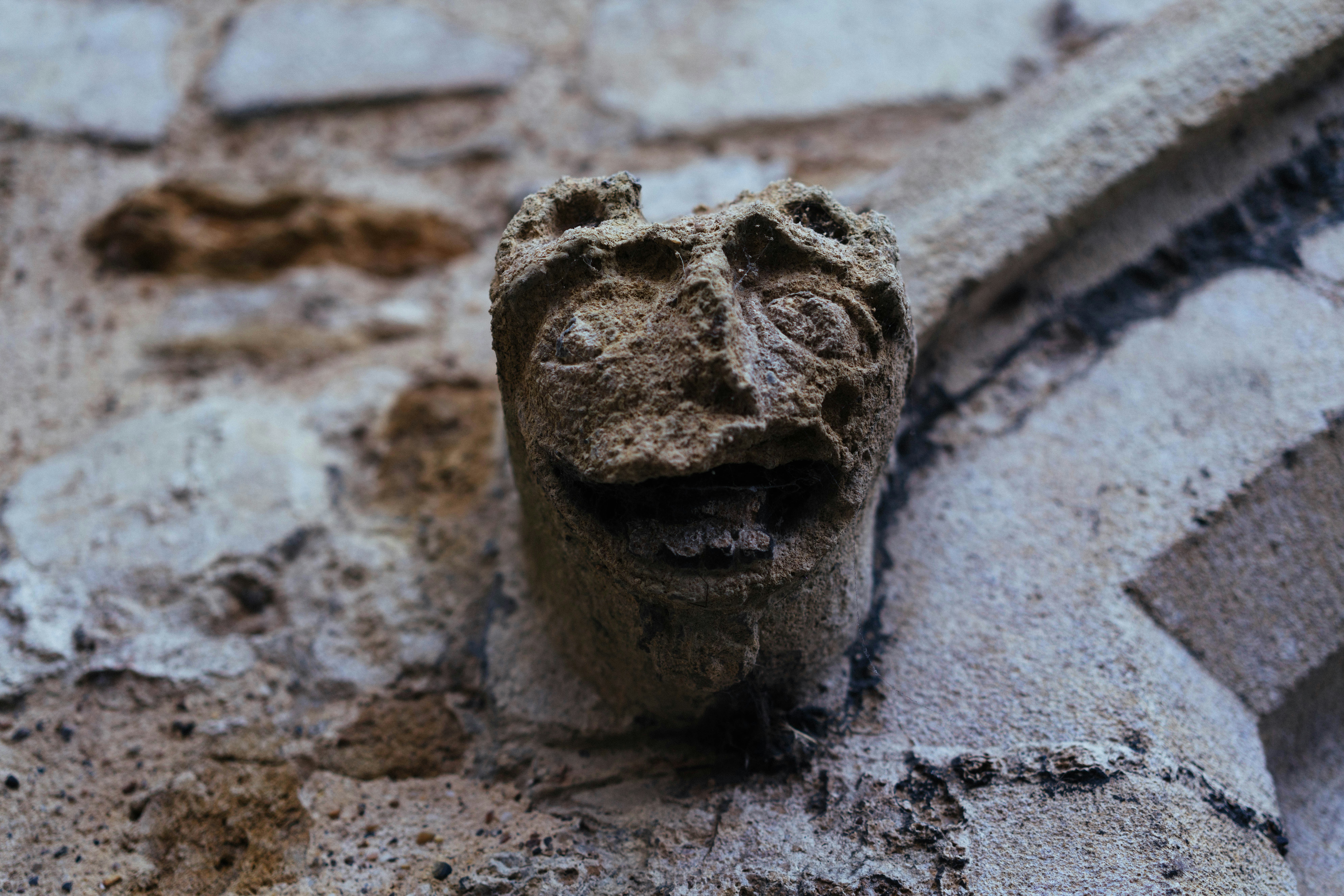 Dust-Crowned Gargoyle