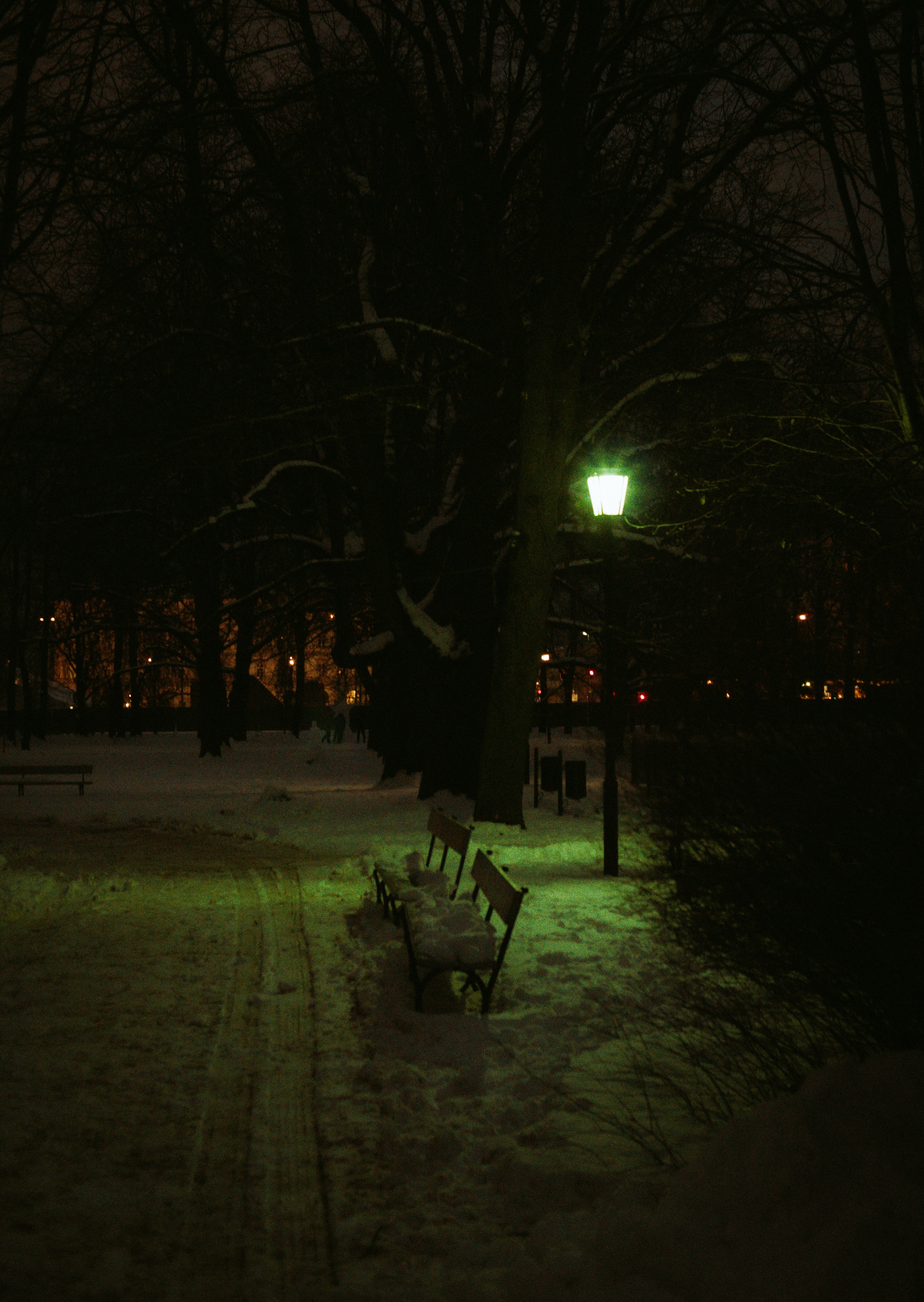 Green Lamplit Park Bench in Snowy Night Quiet