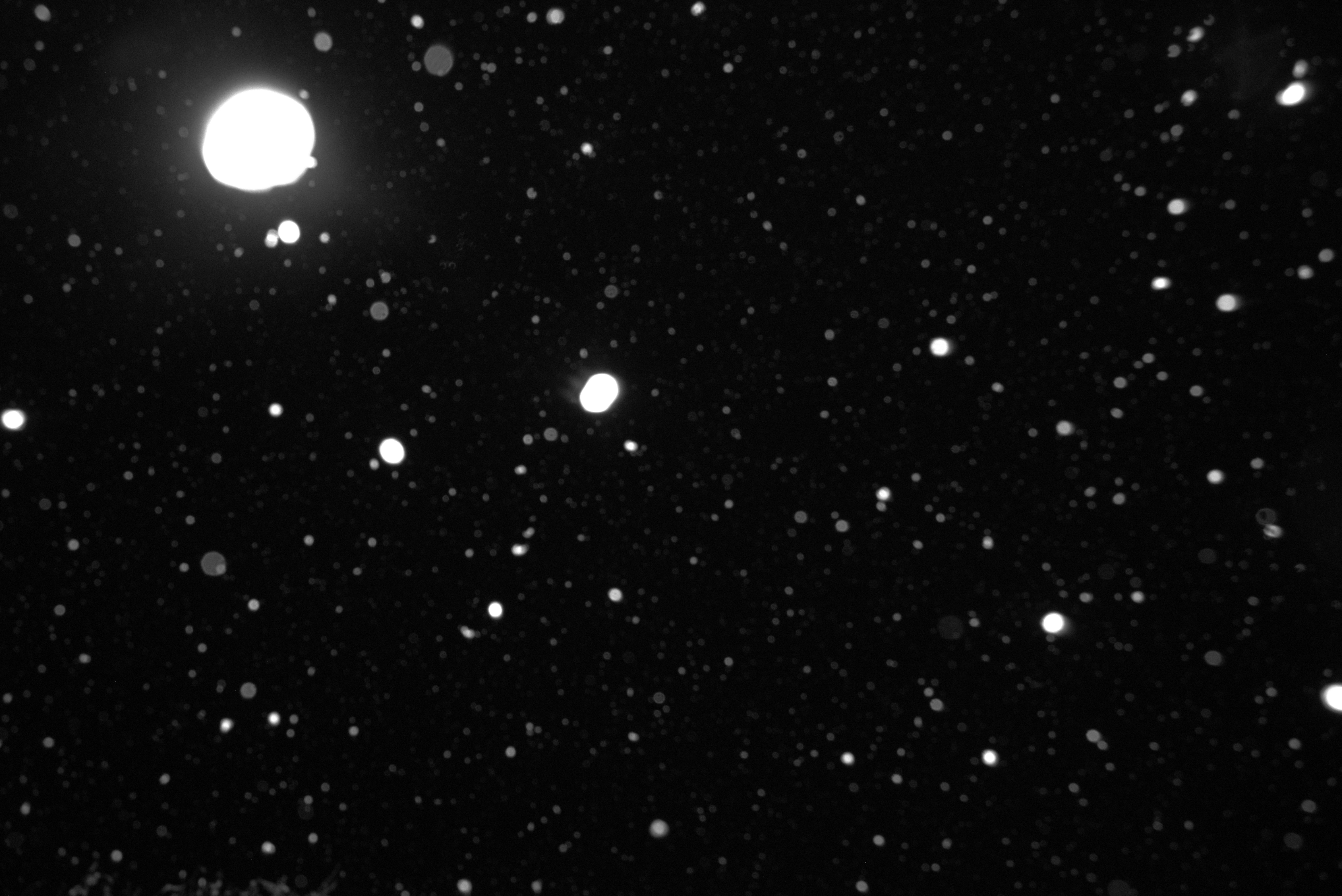 Dense star field with a bright moonlet toward the upper-left; minimal variation in brightness across the field, giving a high-contrast celestial texture.