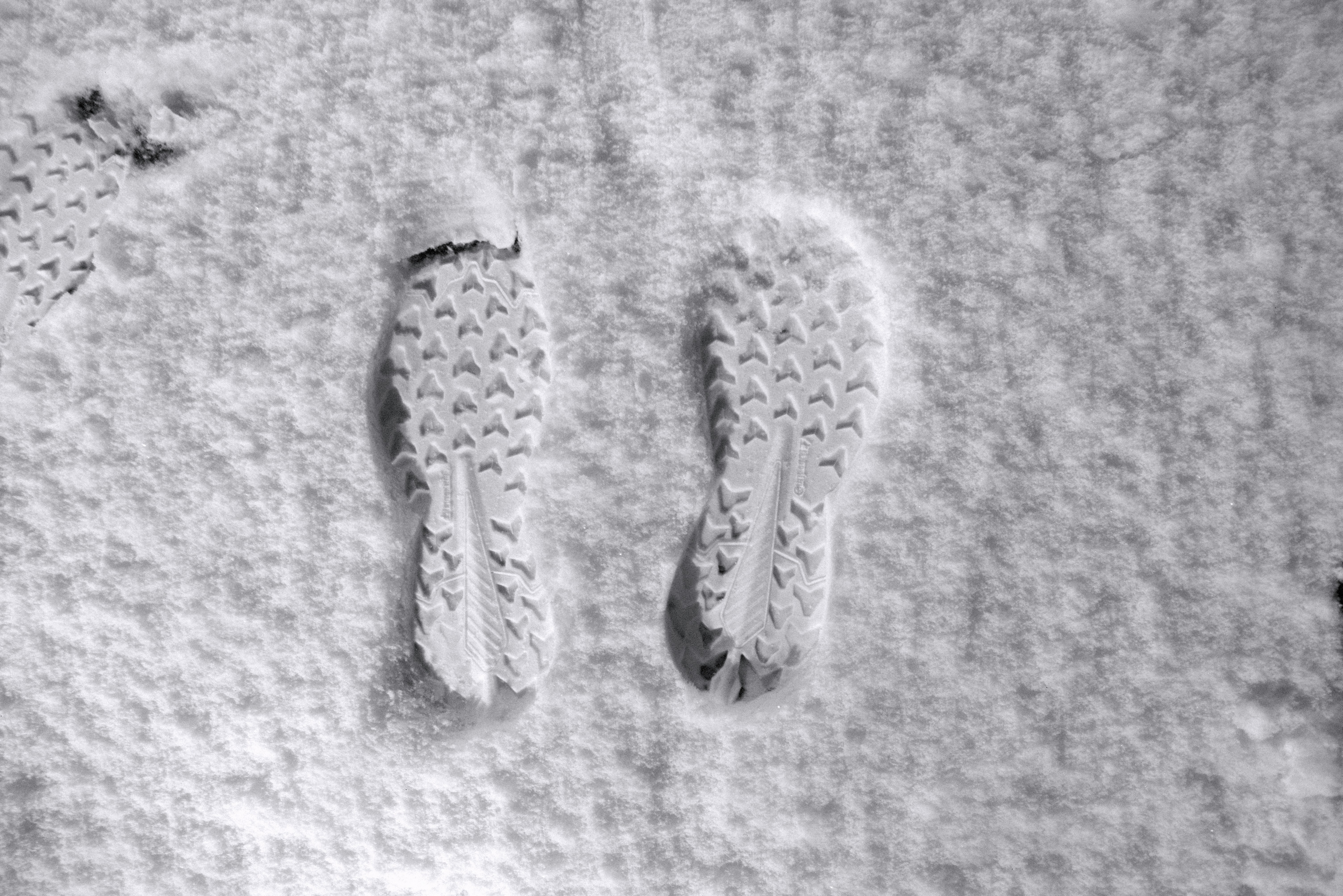 Winter Trail: Two Snowprint Footsteps Mark a Quiet Path