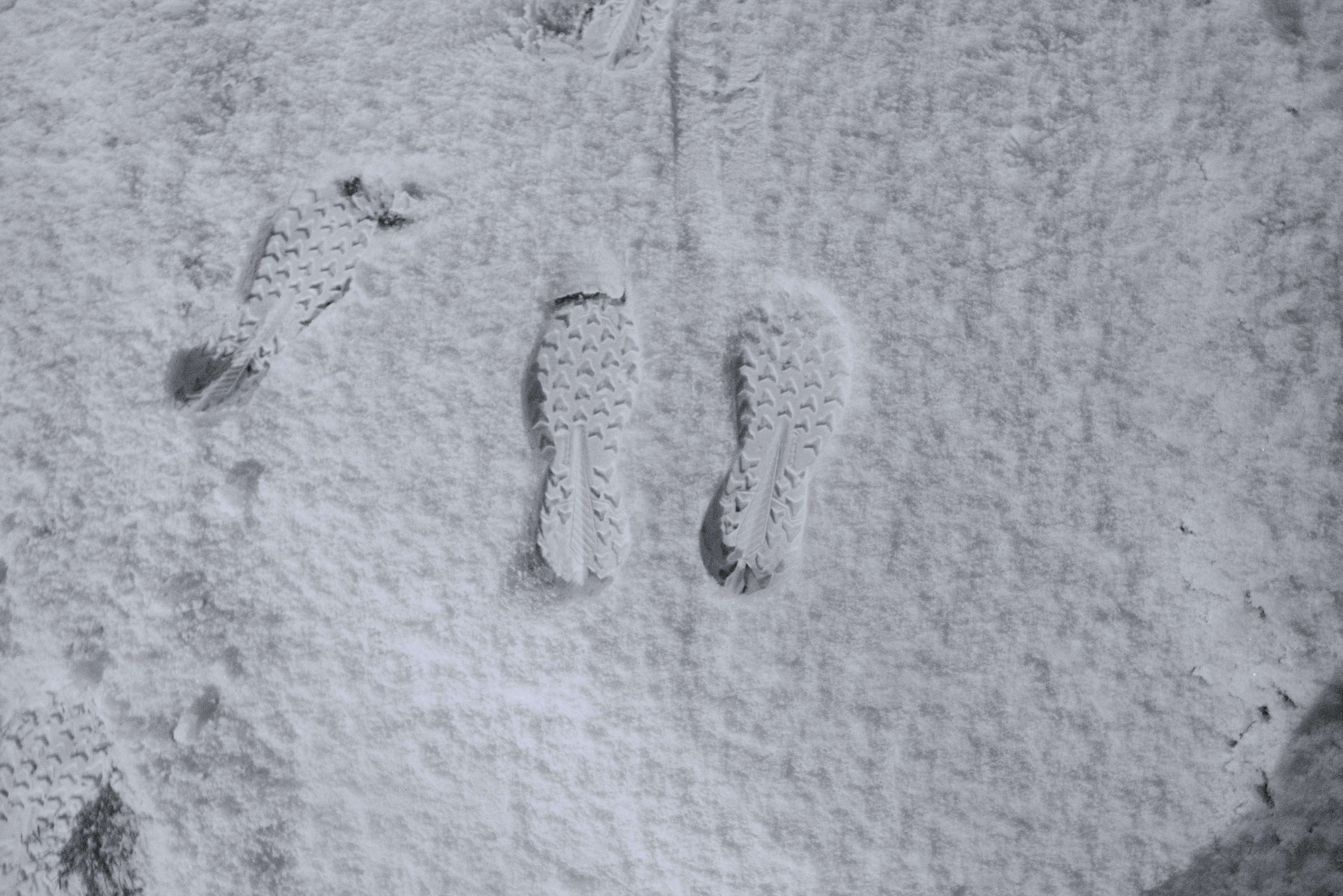 Snowy Trail of Footprints: A Quiet Path Through Fresh Powder