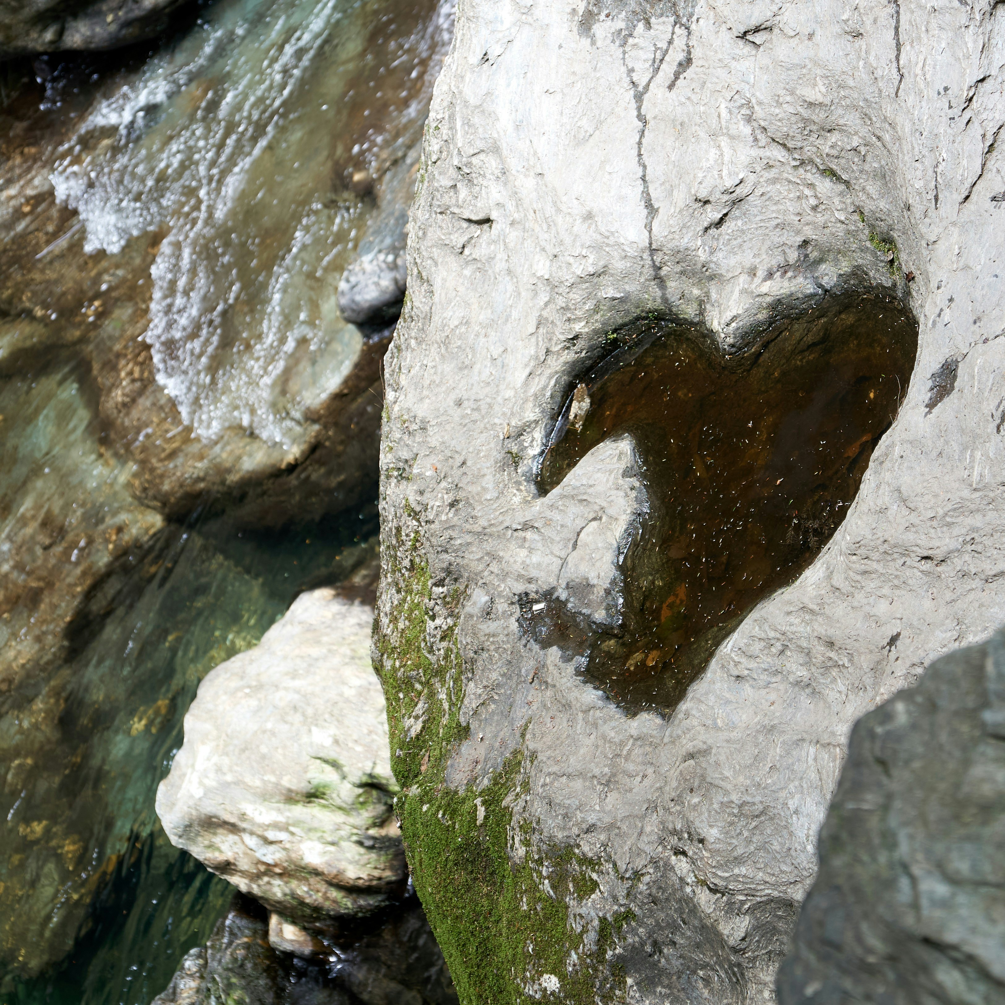 Heart-shaped recess in weathered rock by a mossy shoreline