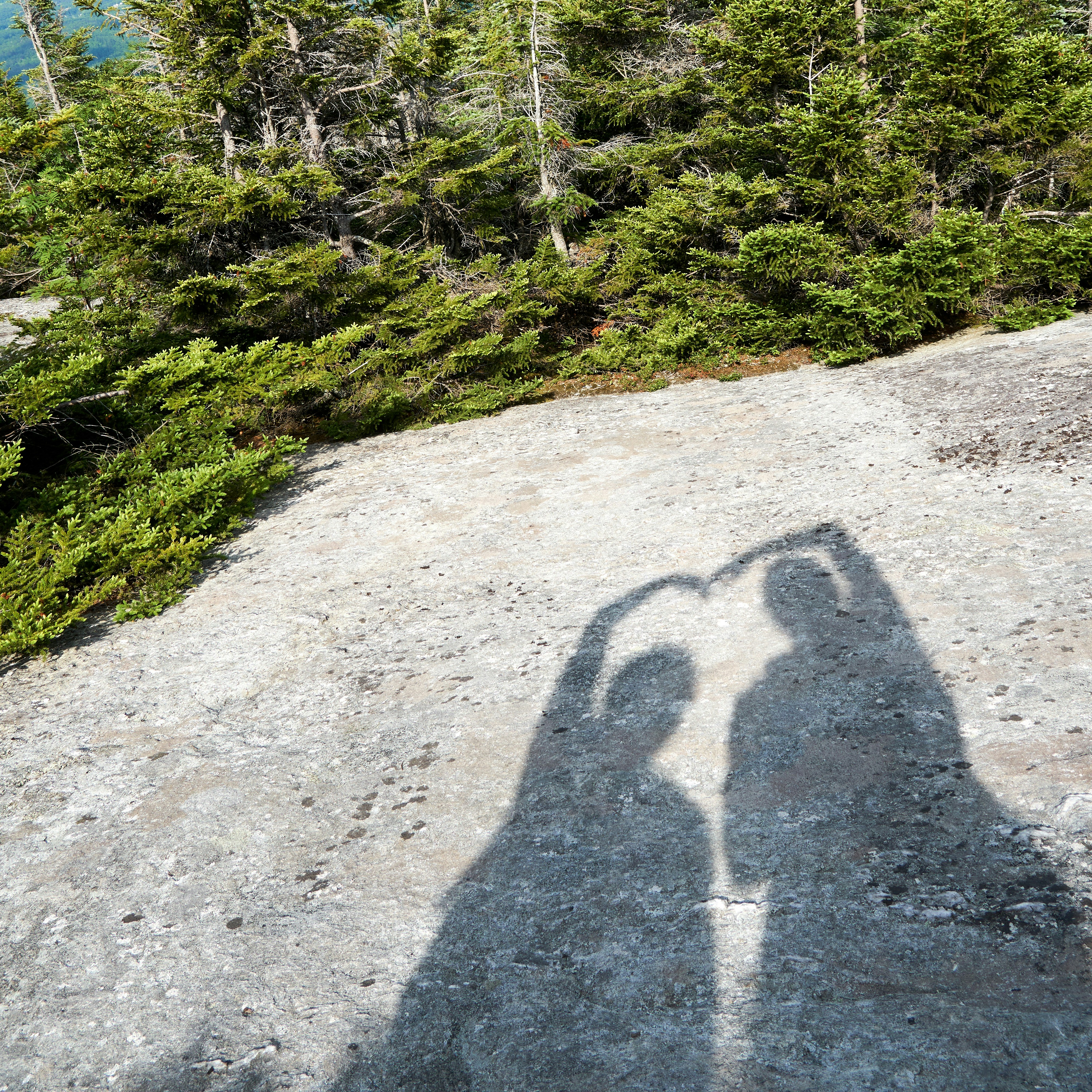 Two shadows forming a heart shape on rock. photo – Free Forest Image on ...