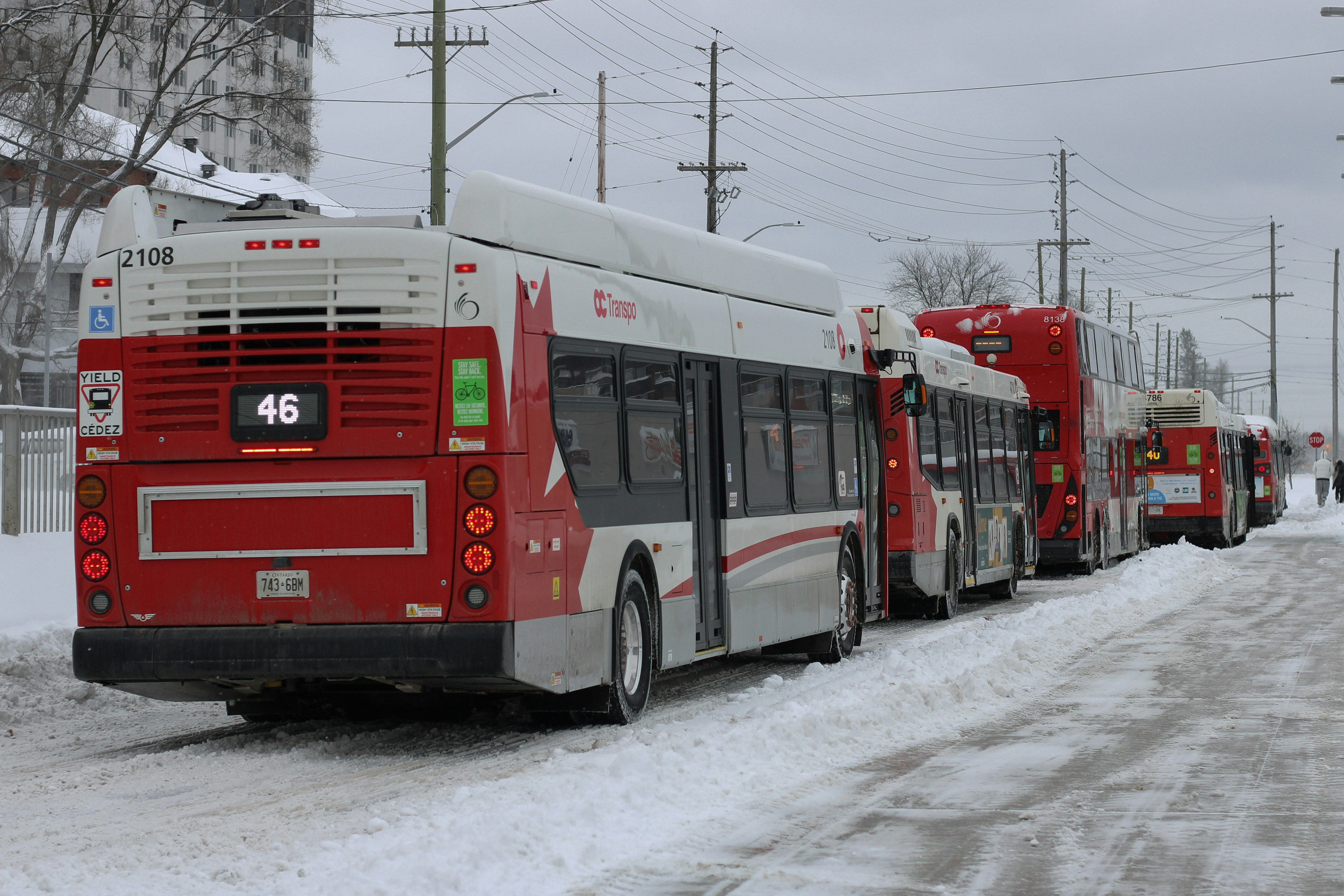 Snowbound Route: A Row of Red Buses Await the Next Stop