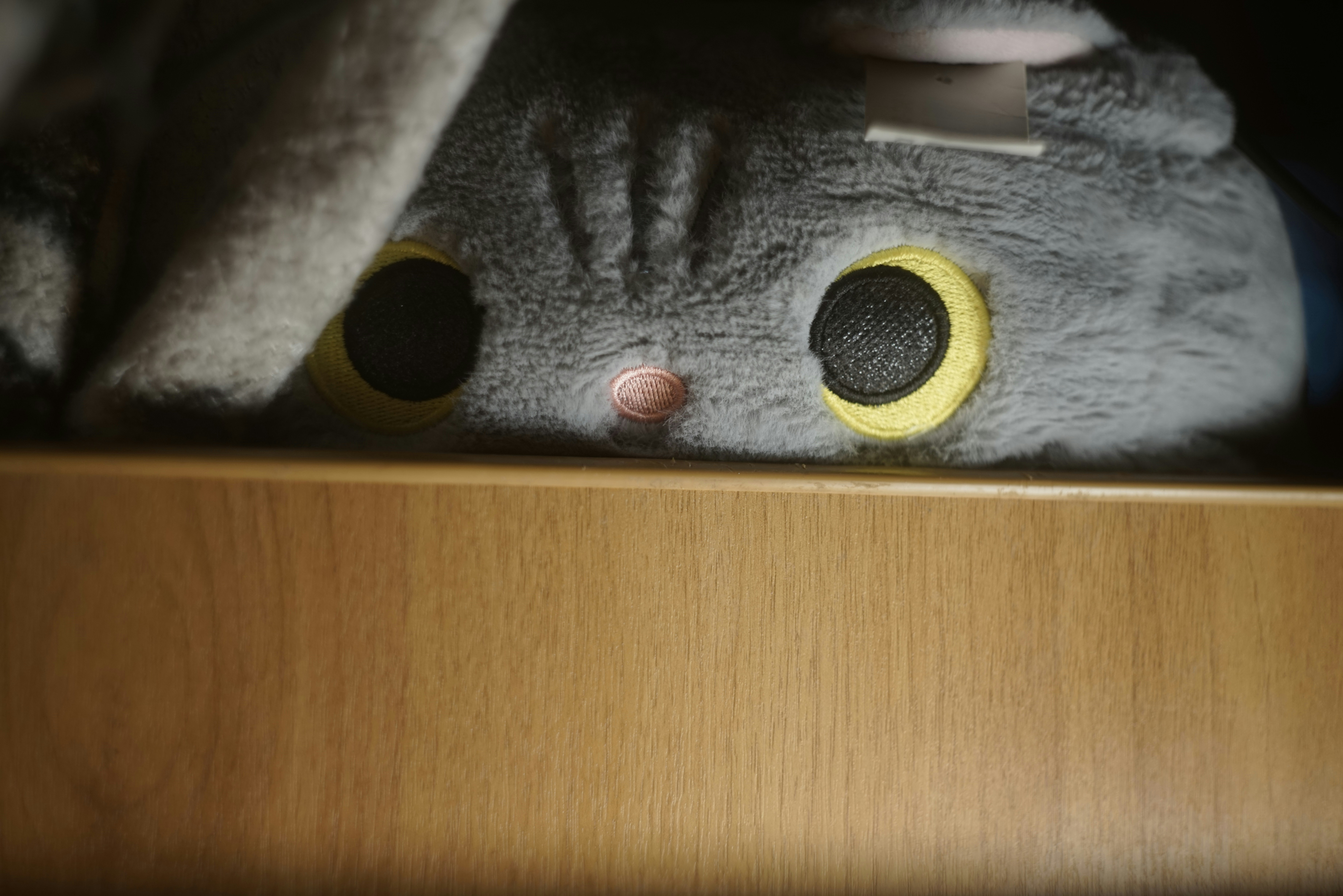 Photo by Ilzar Syubaev with Sony Alpha 7R