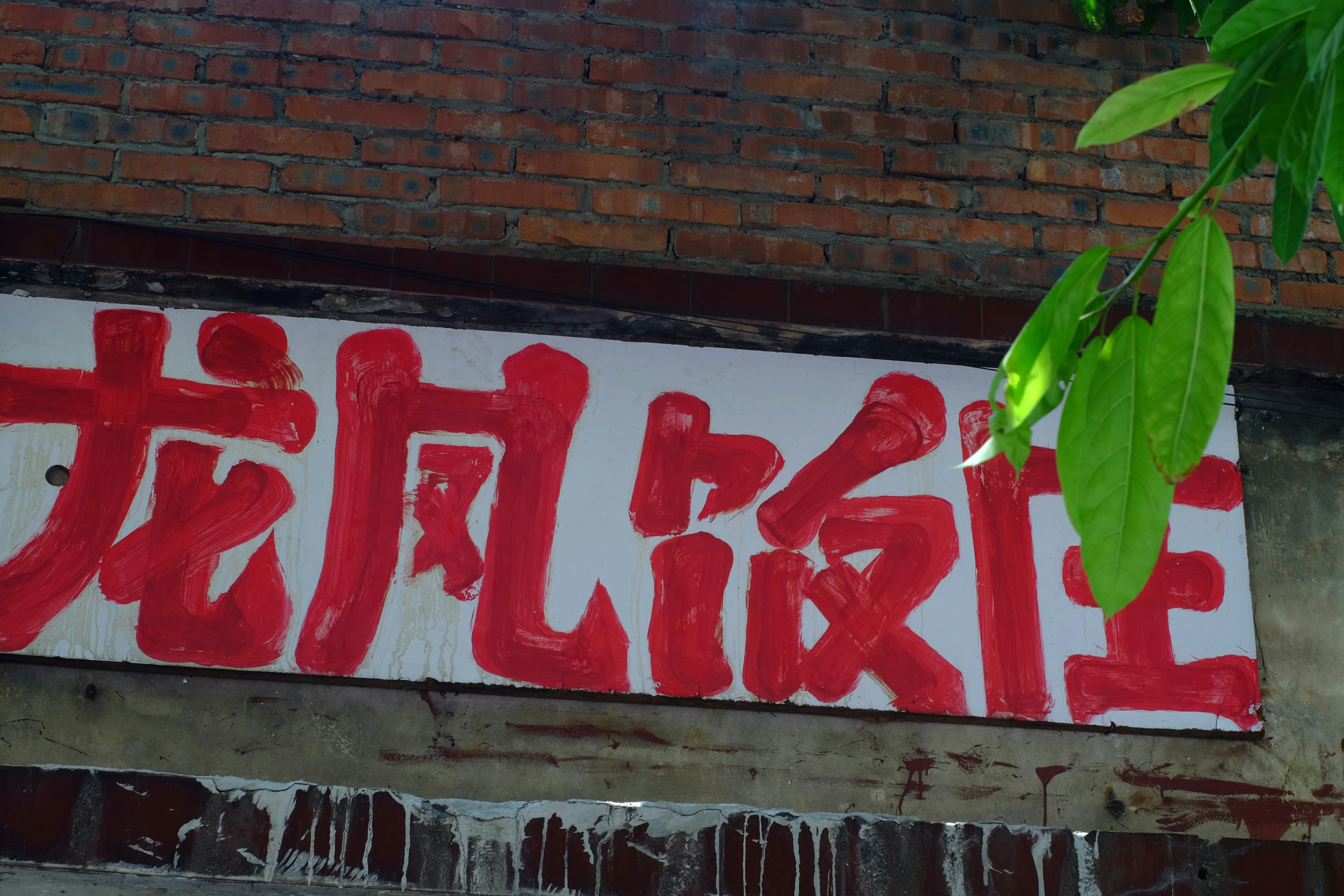 Red Chinese Characters on Weathered Wall with Greenery Accent