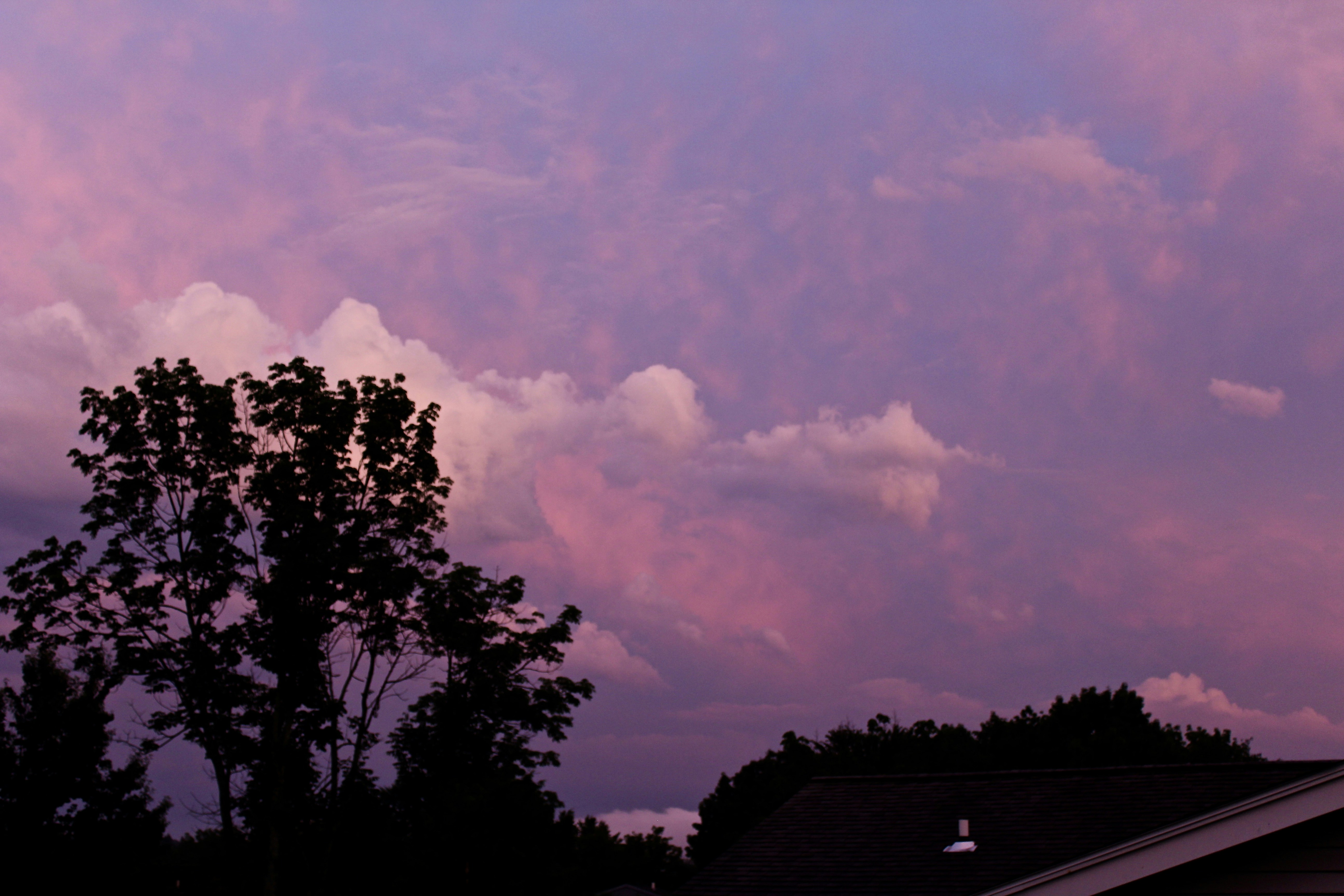 Silhouetted Trees at Sunset Under a Purple Sky