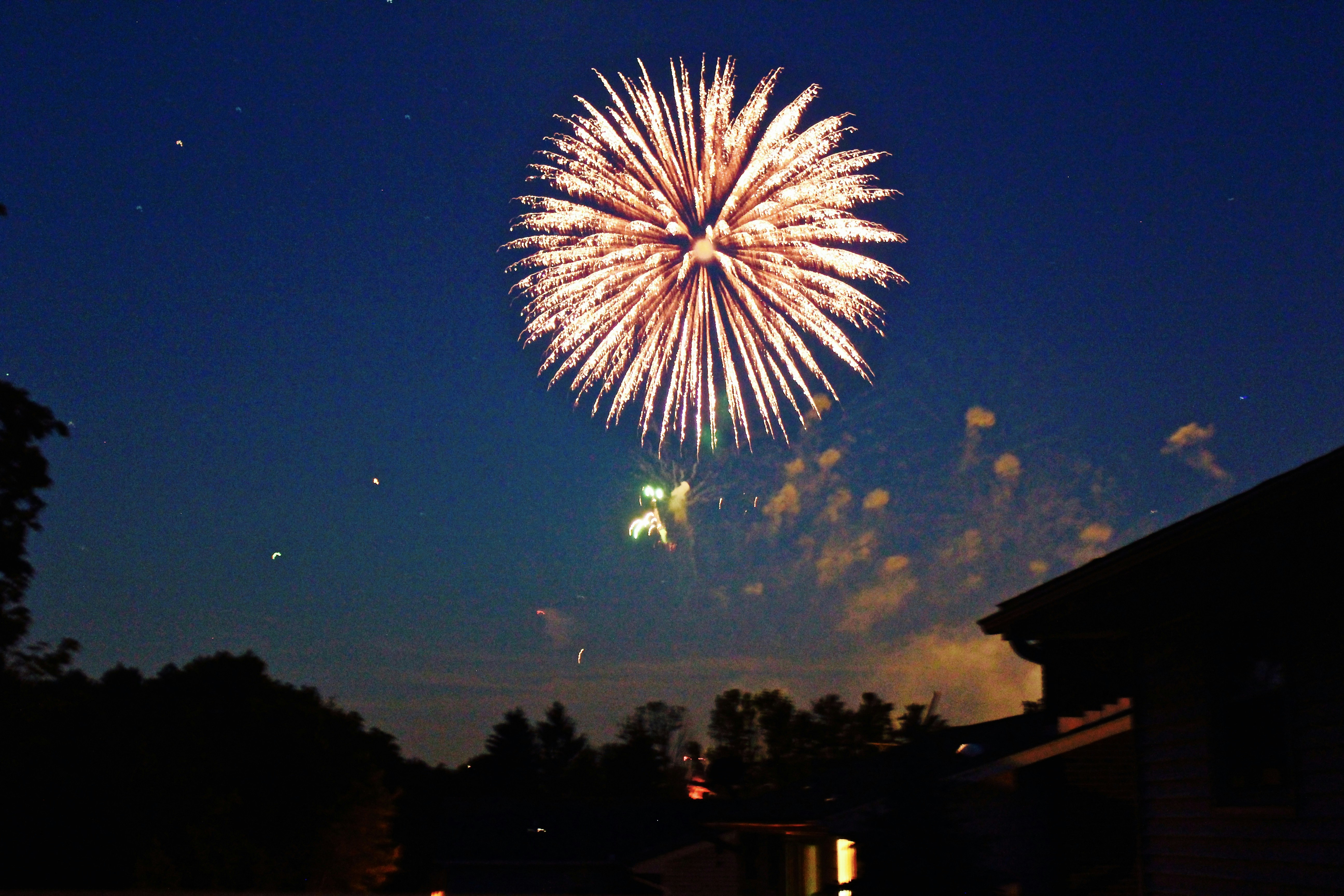 Firework Bloom Over Quiet Neighborhood