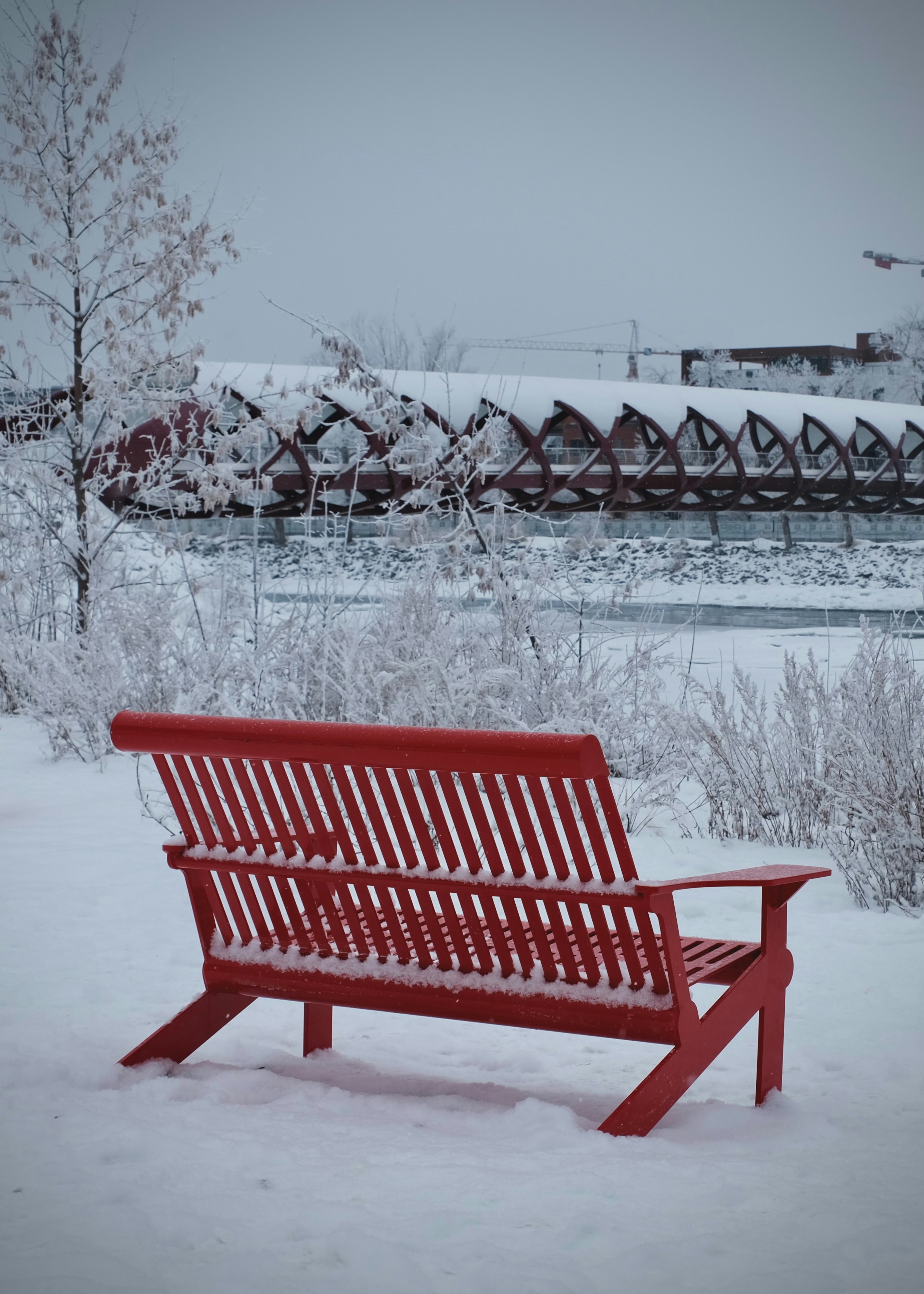 Red Bench in a Snowbound Quiet