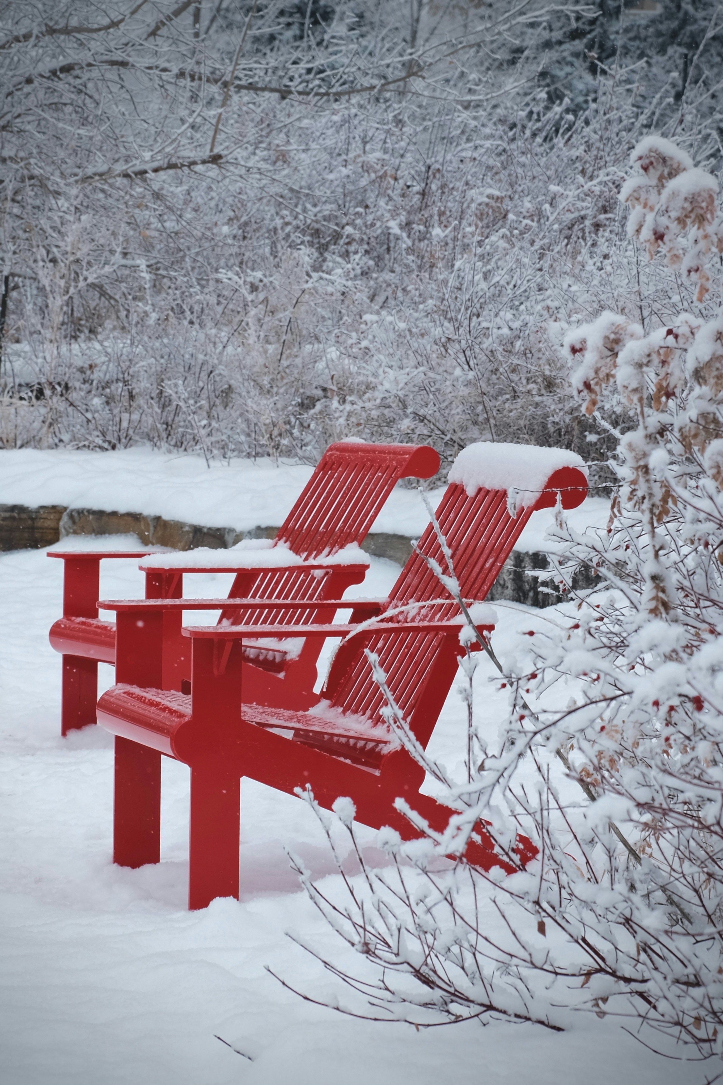Red Adirondack Chairs Resting in Snowbound Silence