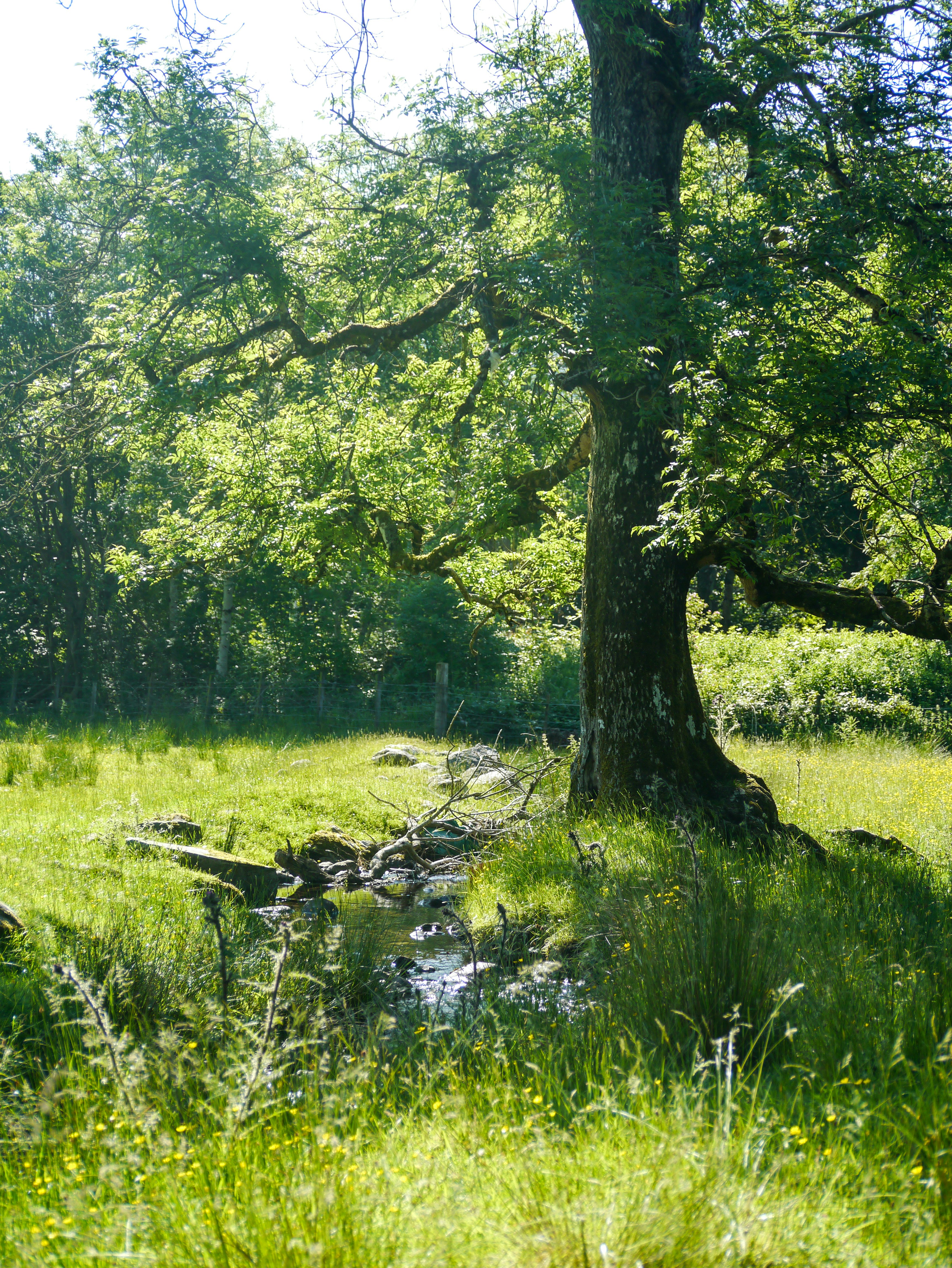 Photo by Natalia Bennett