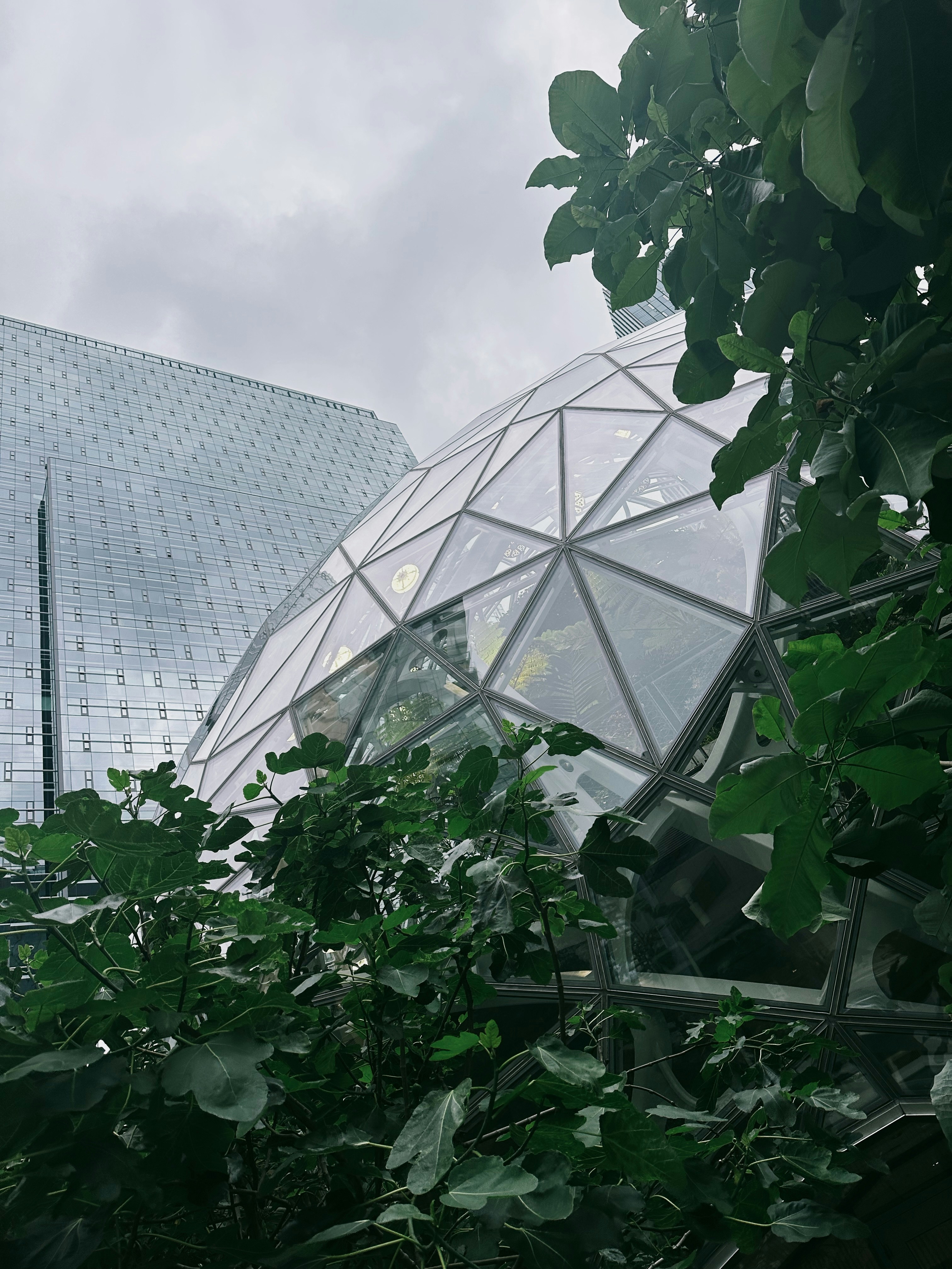 Geodesic Glass Dome Framing Greenery Near Skyscrapers