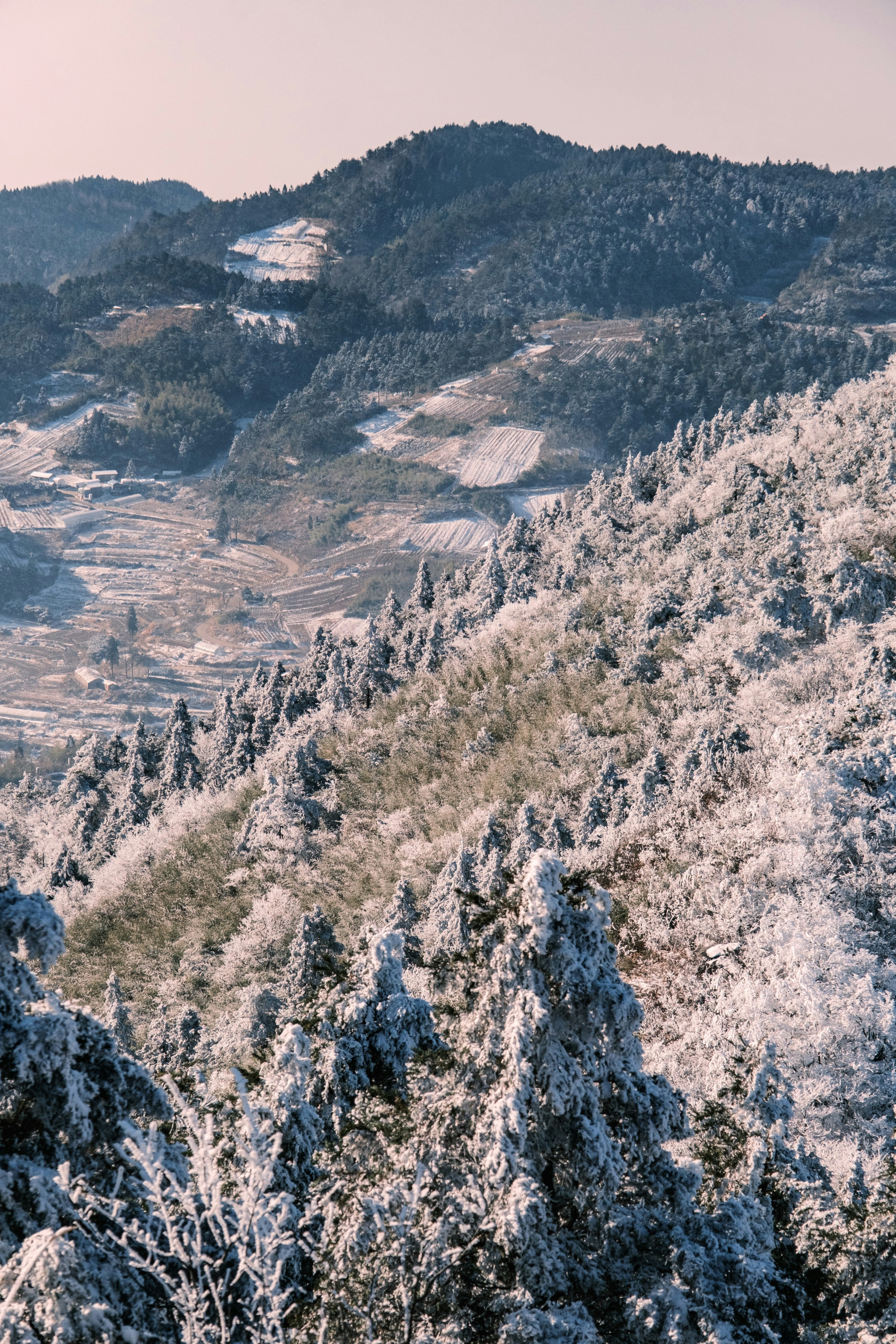 Snow-Kissed Slopes: Terraced Hillside in Soft Winter Light