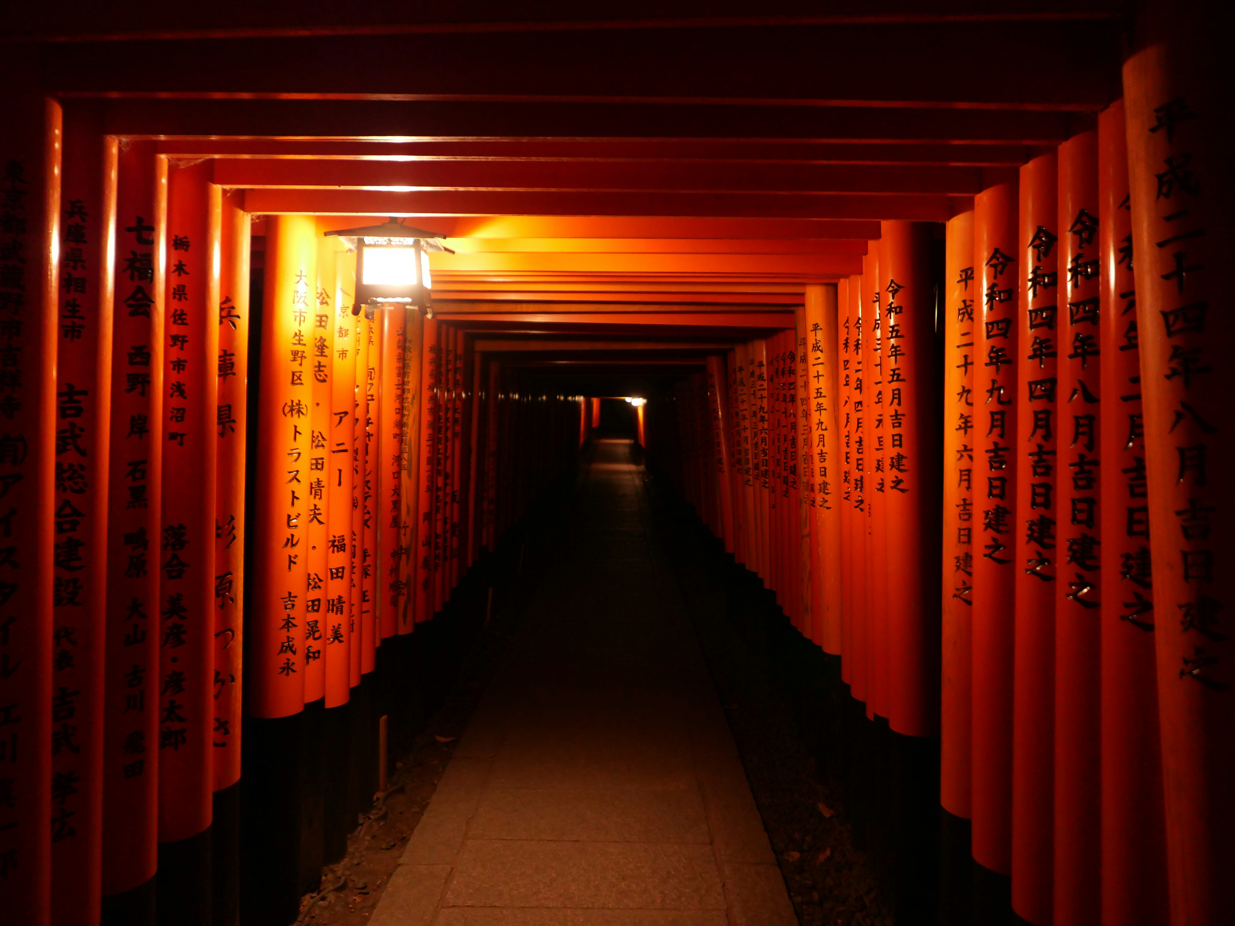 Tunnel of vibrant orange torii gates at dusk