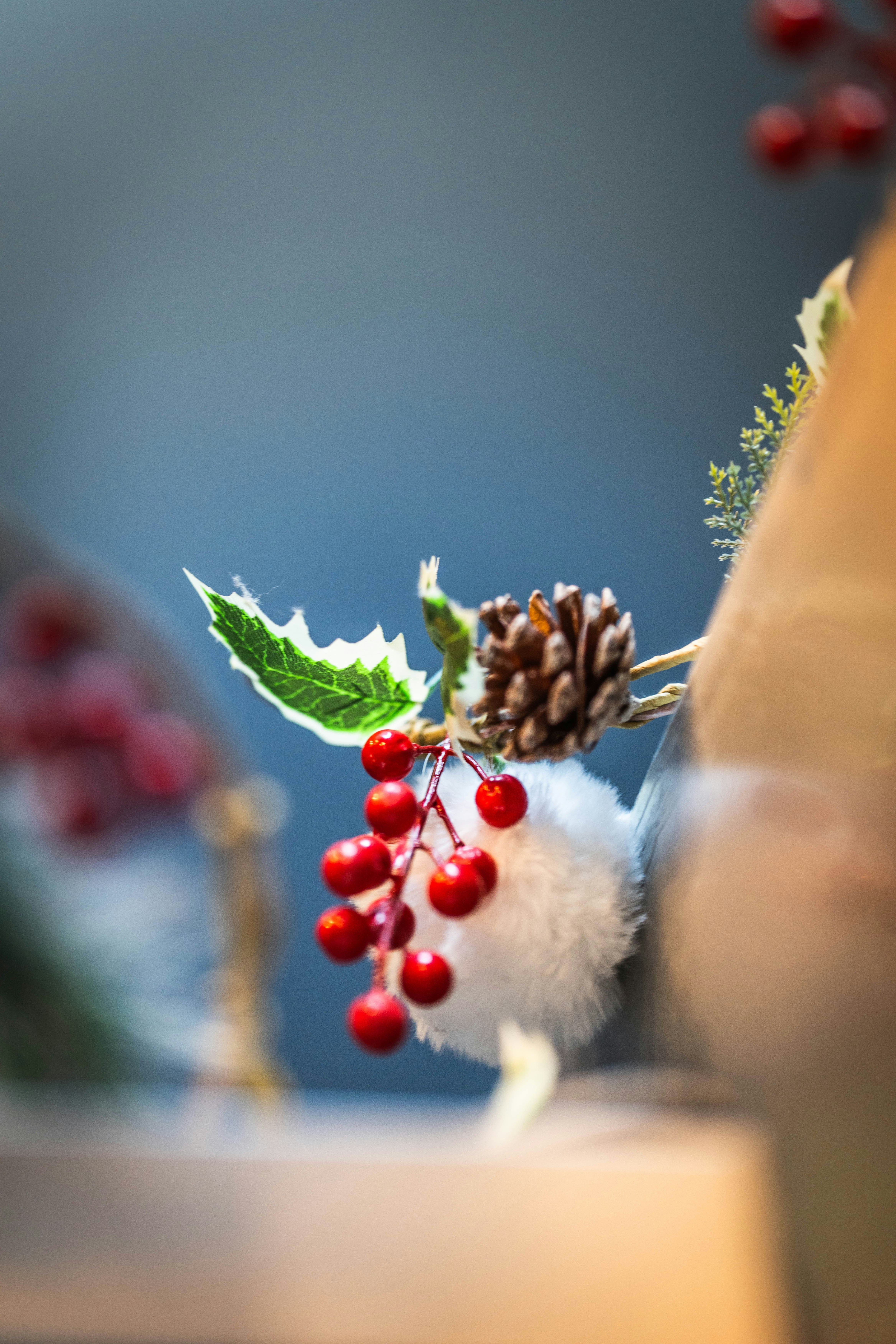 Winter Berries and Pinecone: A Santa-themed Still Life in Soft Focus
