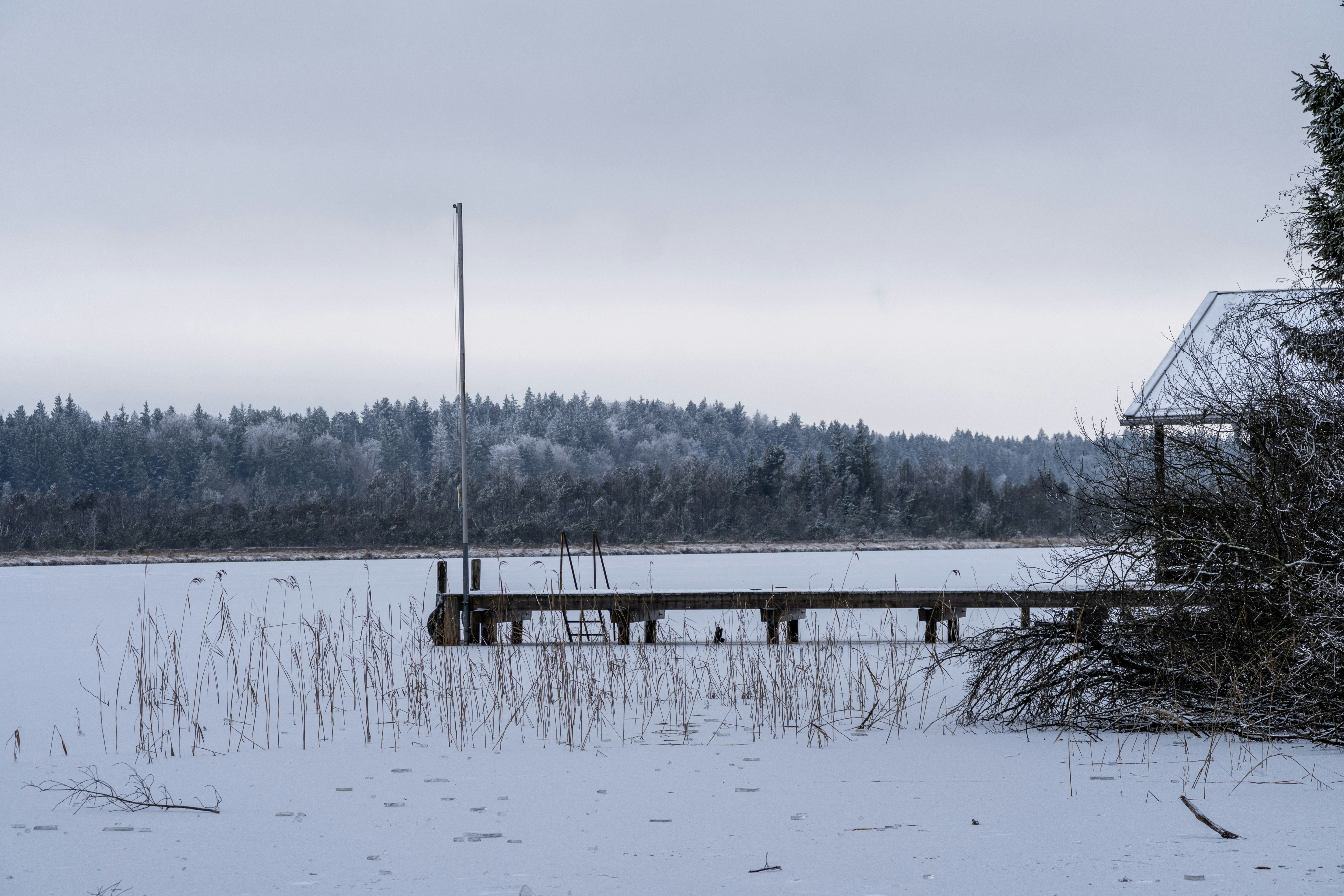 Snowbound Pier: A Quiet Winter Reach Toward the Lake