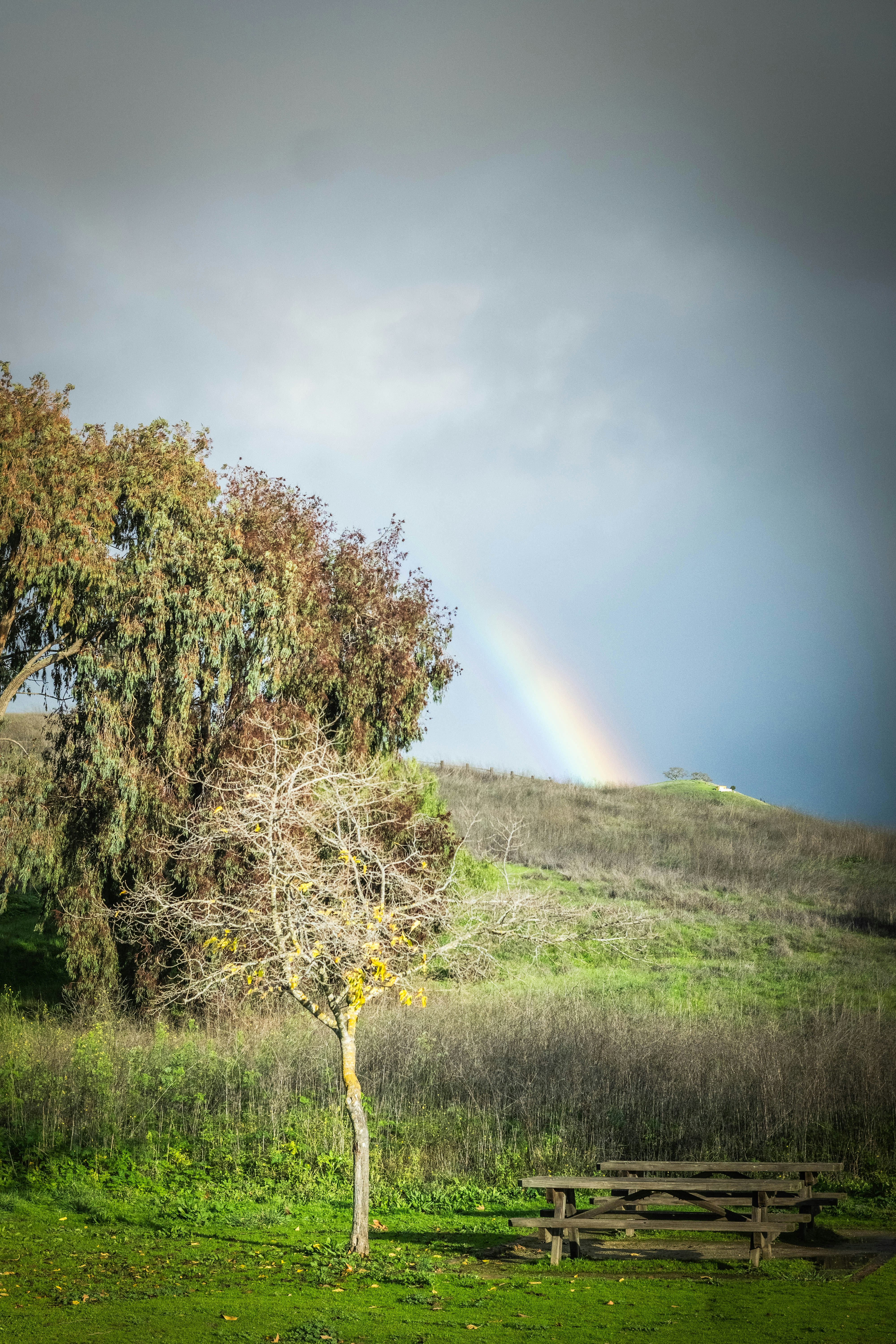 Photo by Madeline Liu with Sony Alpha 6400