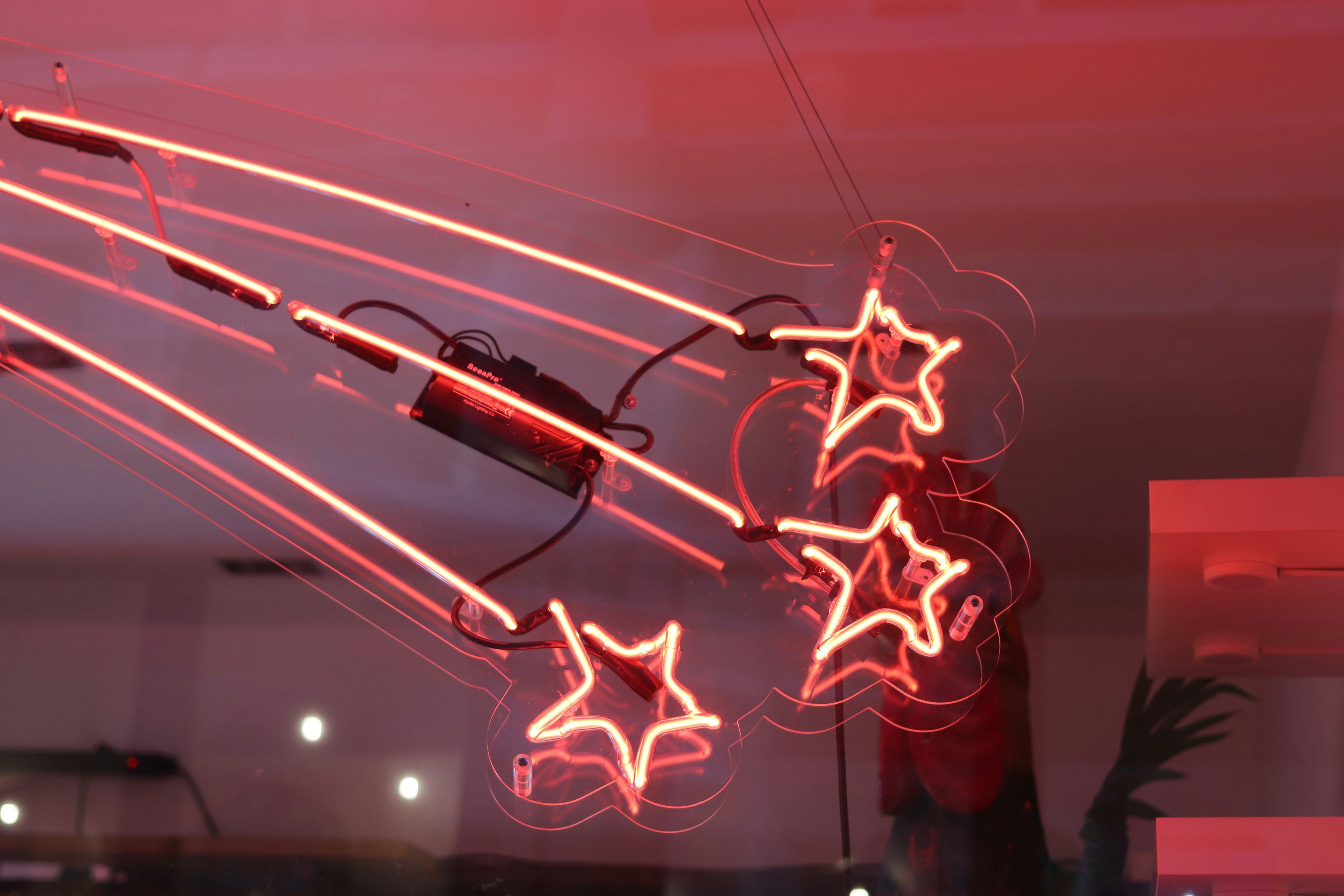 Photo by Tanya Barrow with Canon EOS 77D