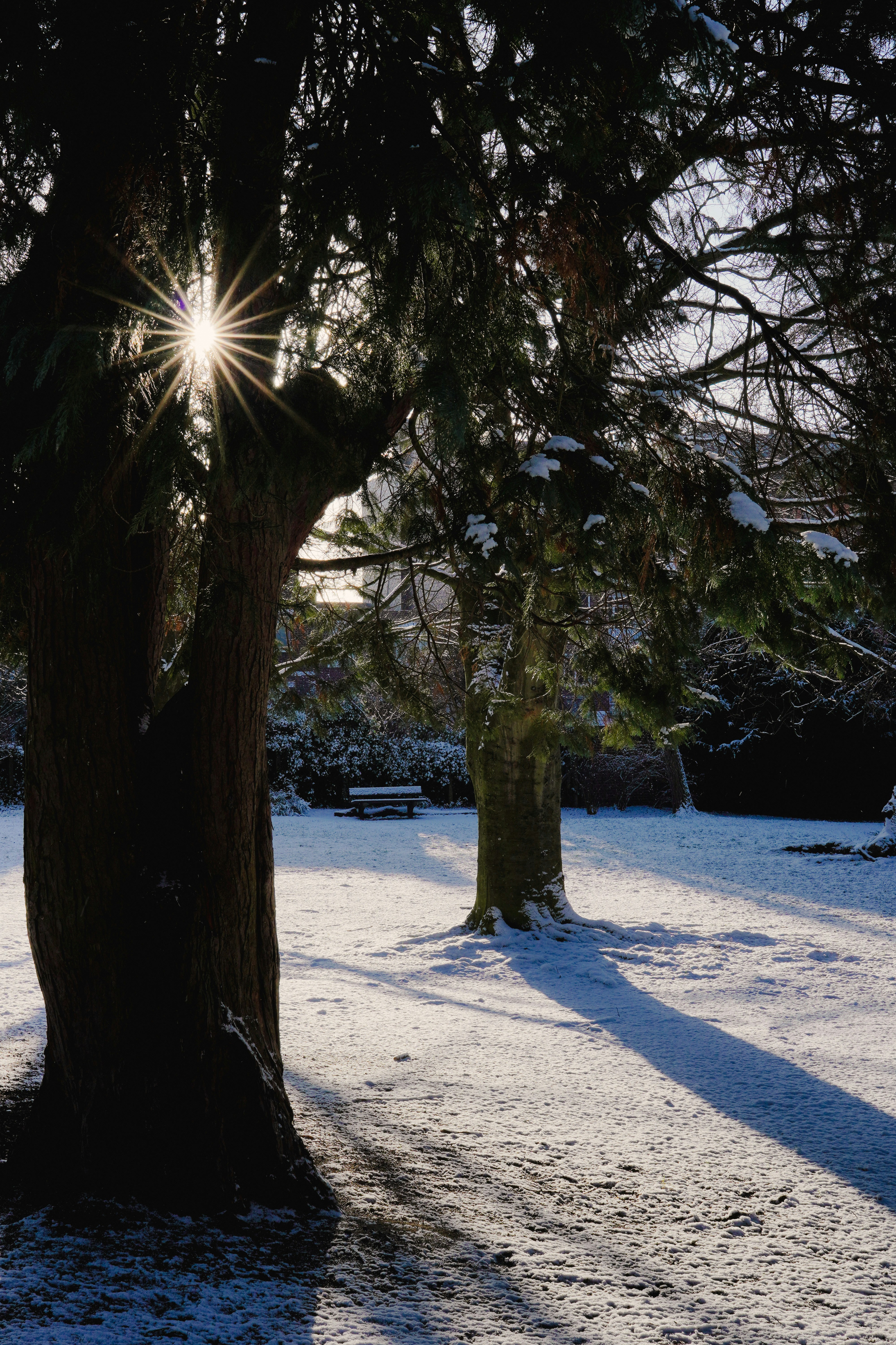 Winter Sunburst Through a Snow-blanketed Park