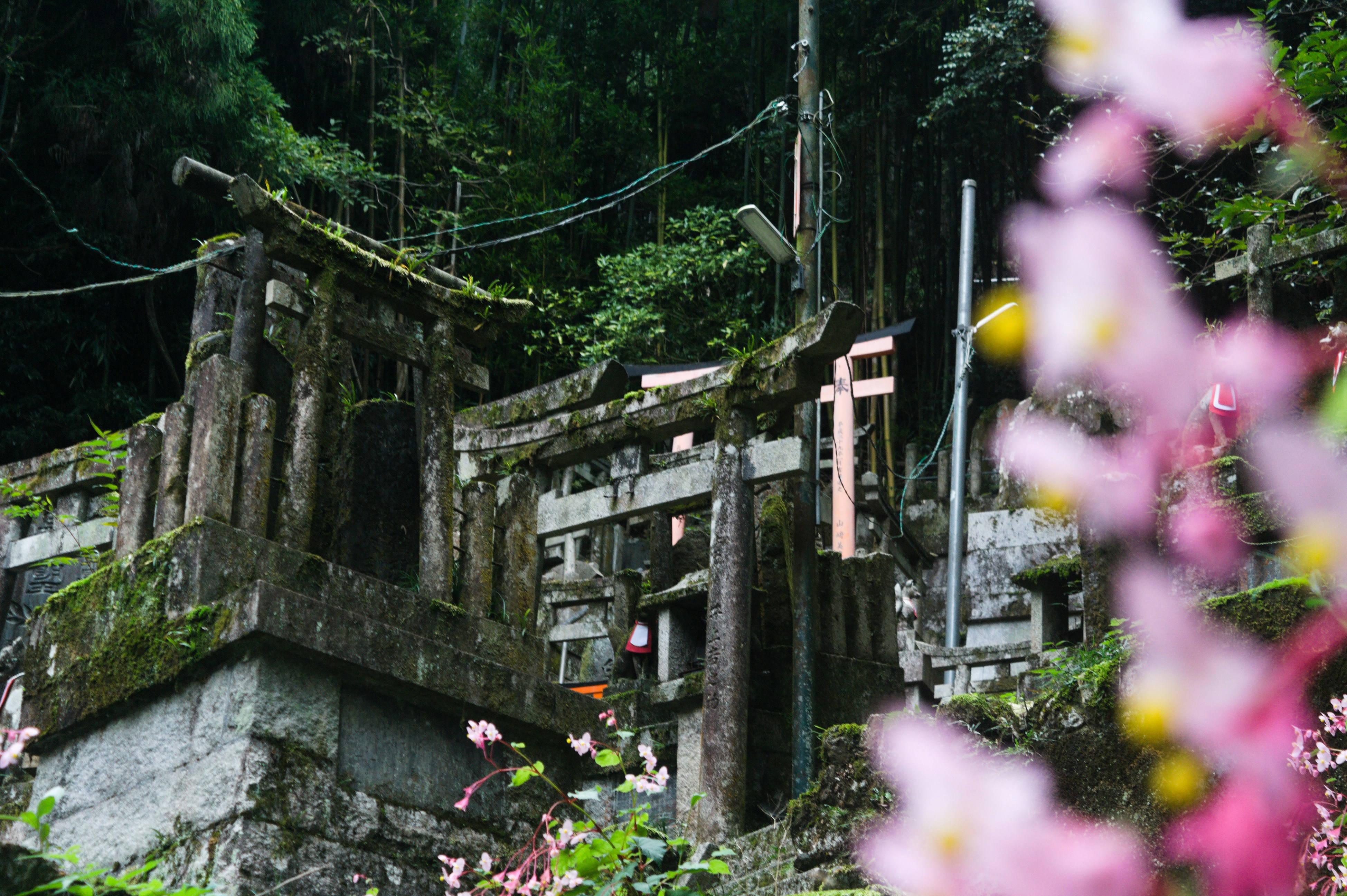 Photo by Ashton Christiansen with Canon EOS 1000D