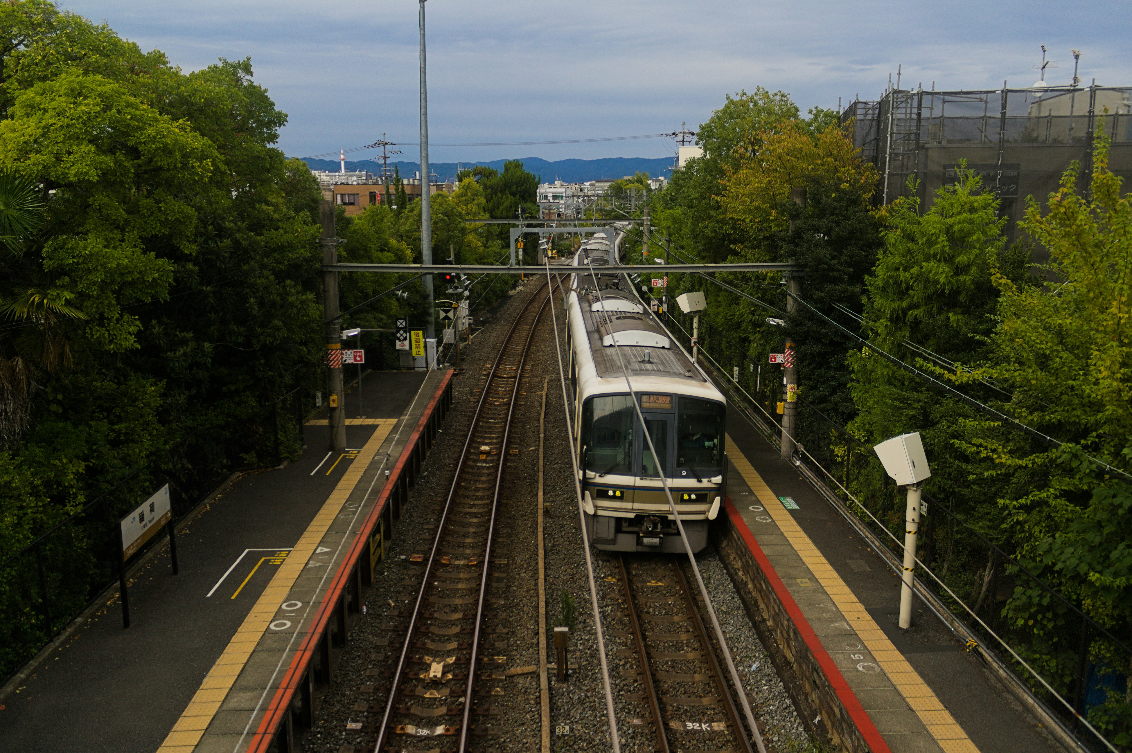 Railway Odyssey: A Train Tracing Through a Green Canyon