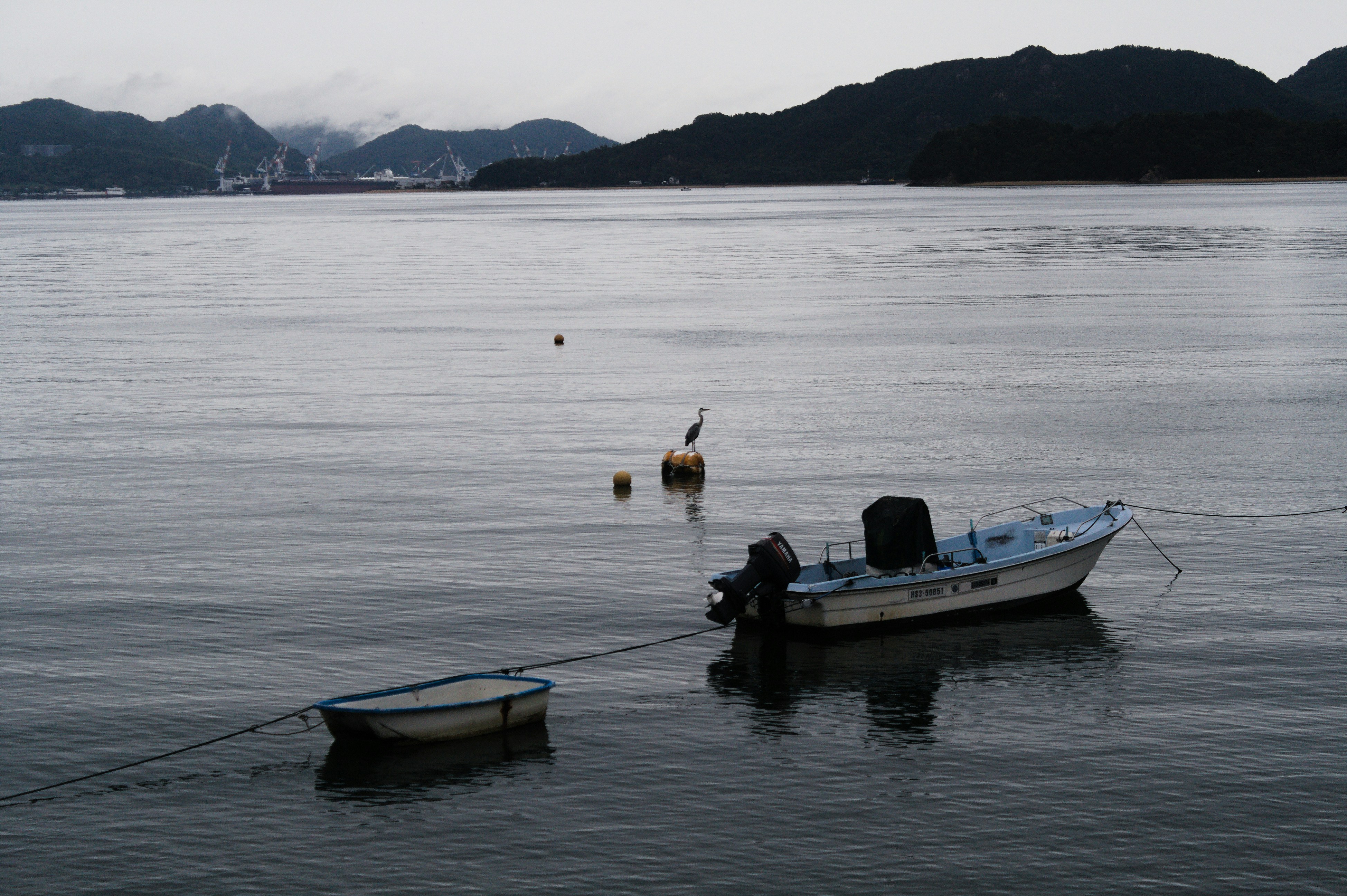 Photo by Ashton Christiansen with Canon EOS 1000D