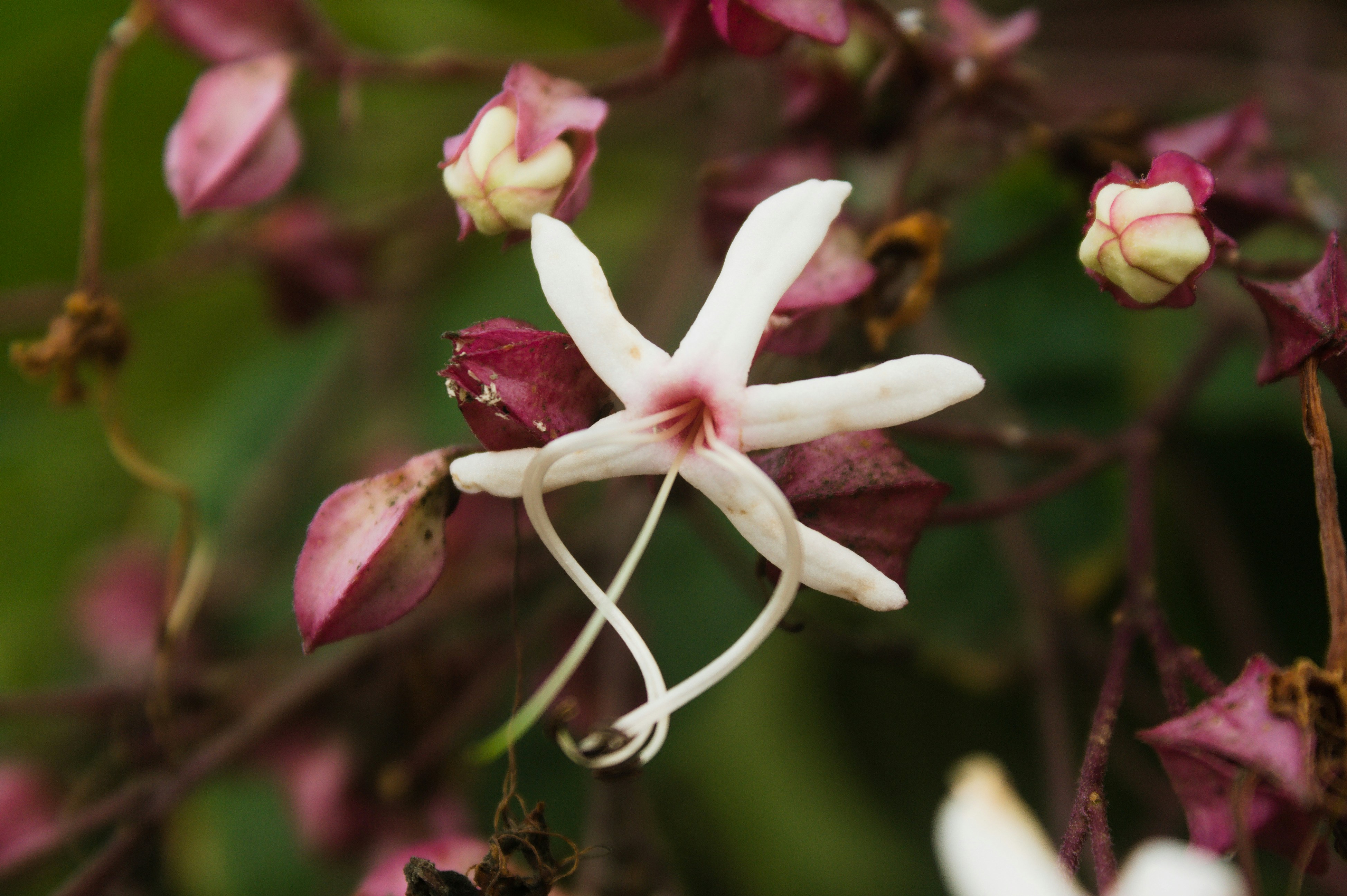 Photo by Ashton Christiansen with Canon EOS 1000D