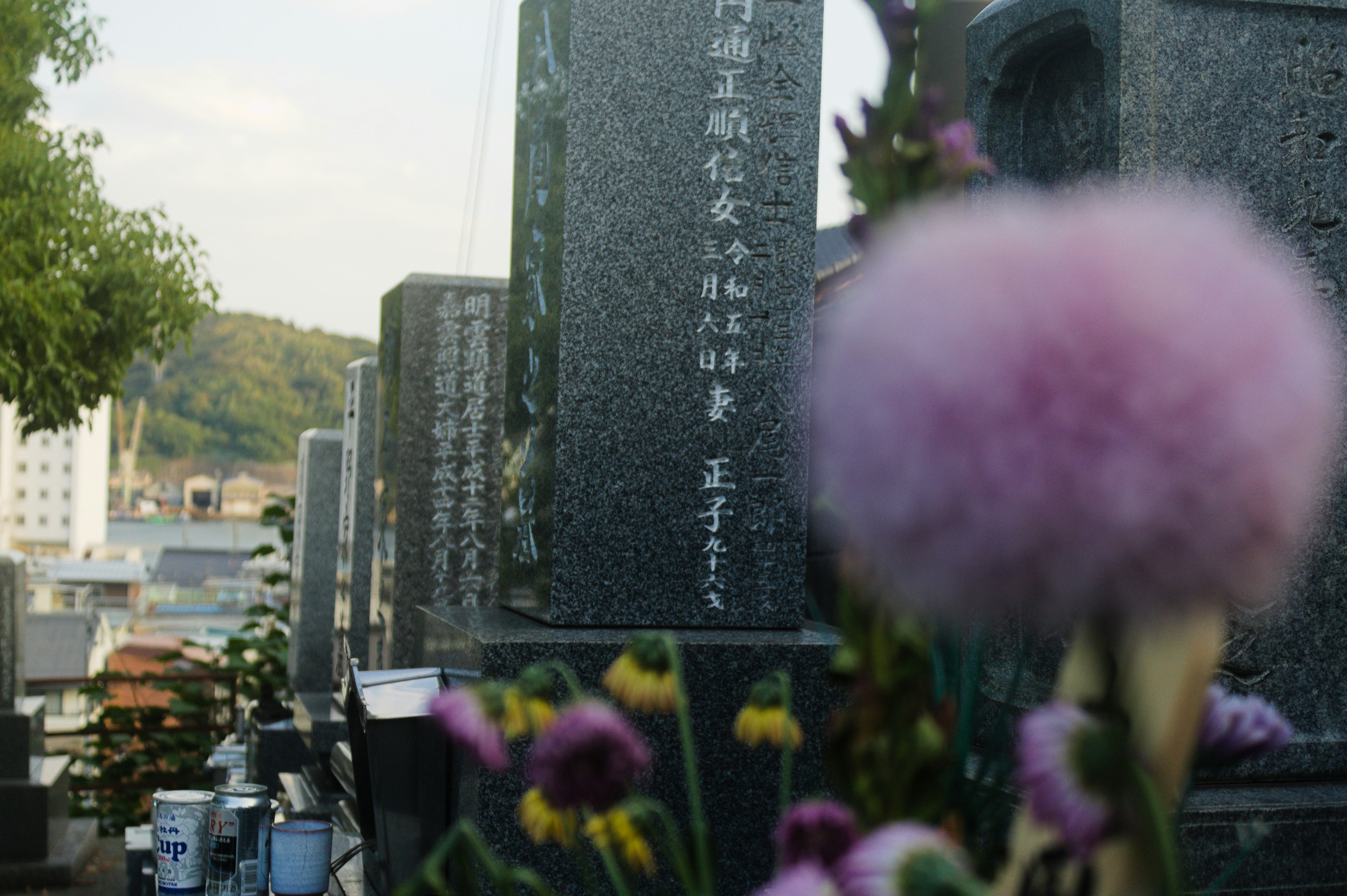 Photo by Ashton Christiansen with Canon EOS 1000D