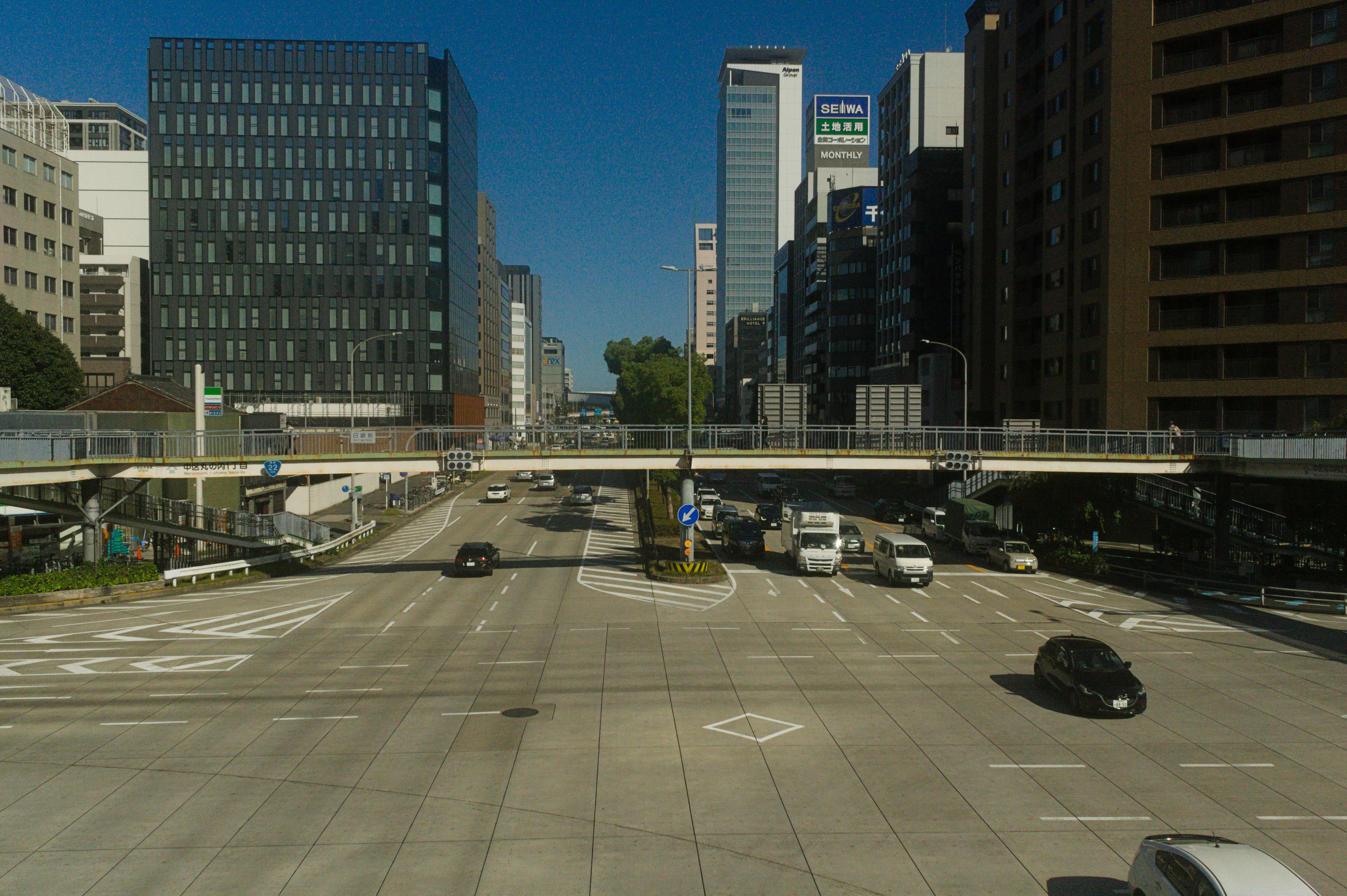 Urban Canopy Overpass: A Sunlit Ground-Level Corridor