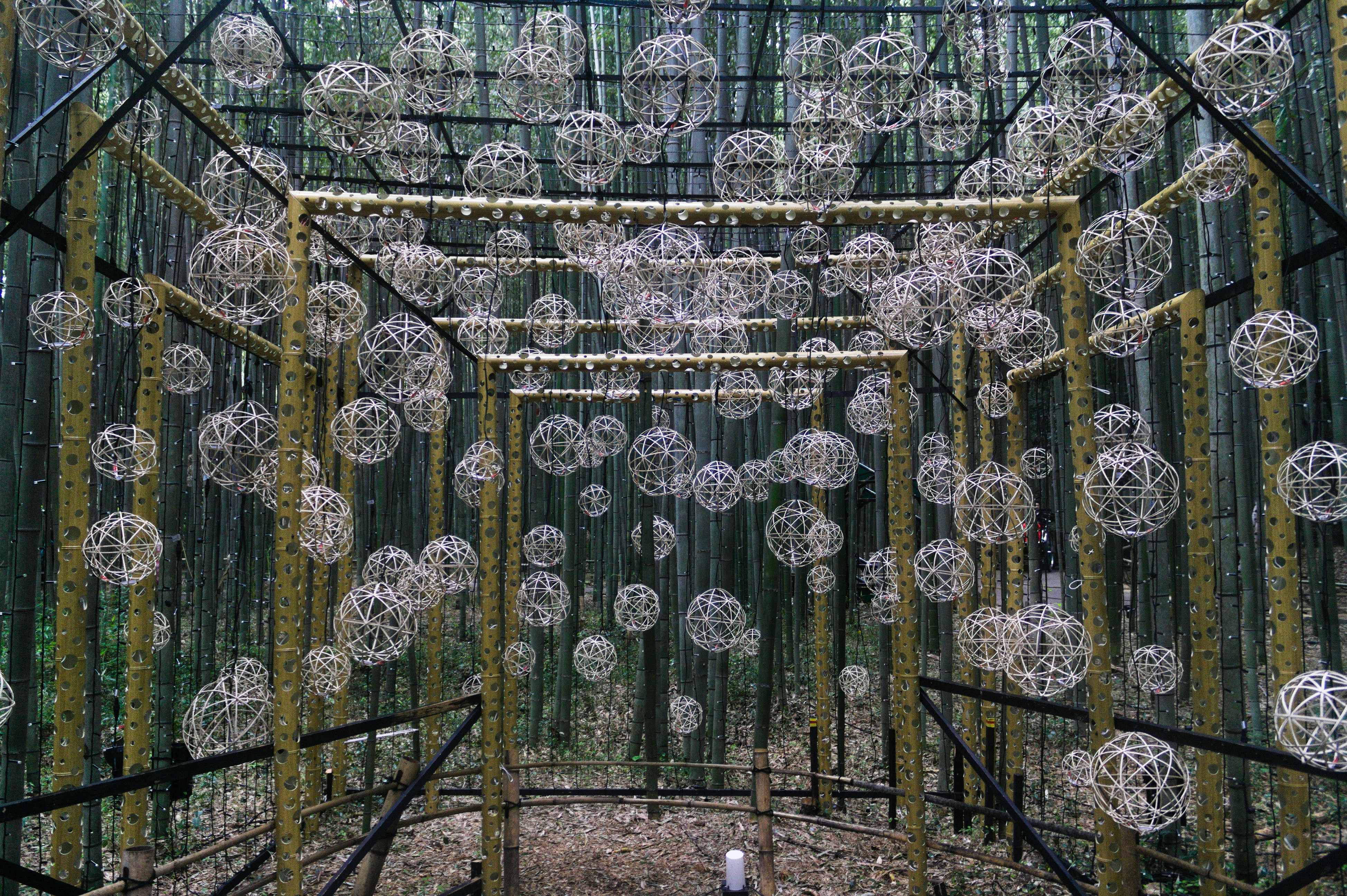 Spherical Orbs in a Green Tunnel: An Arboreal Lightscape