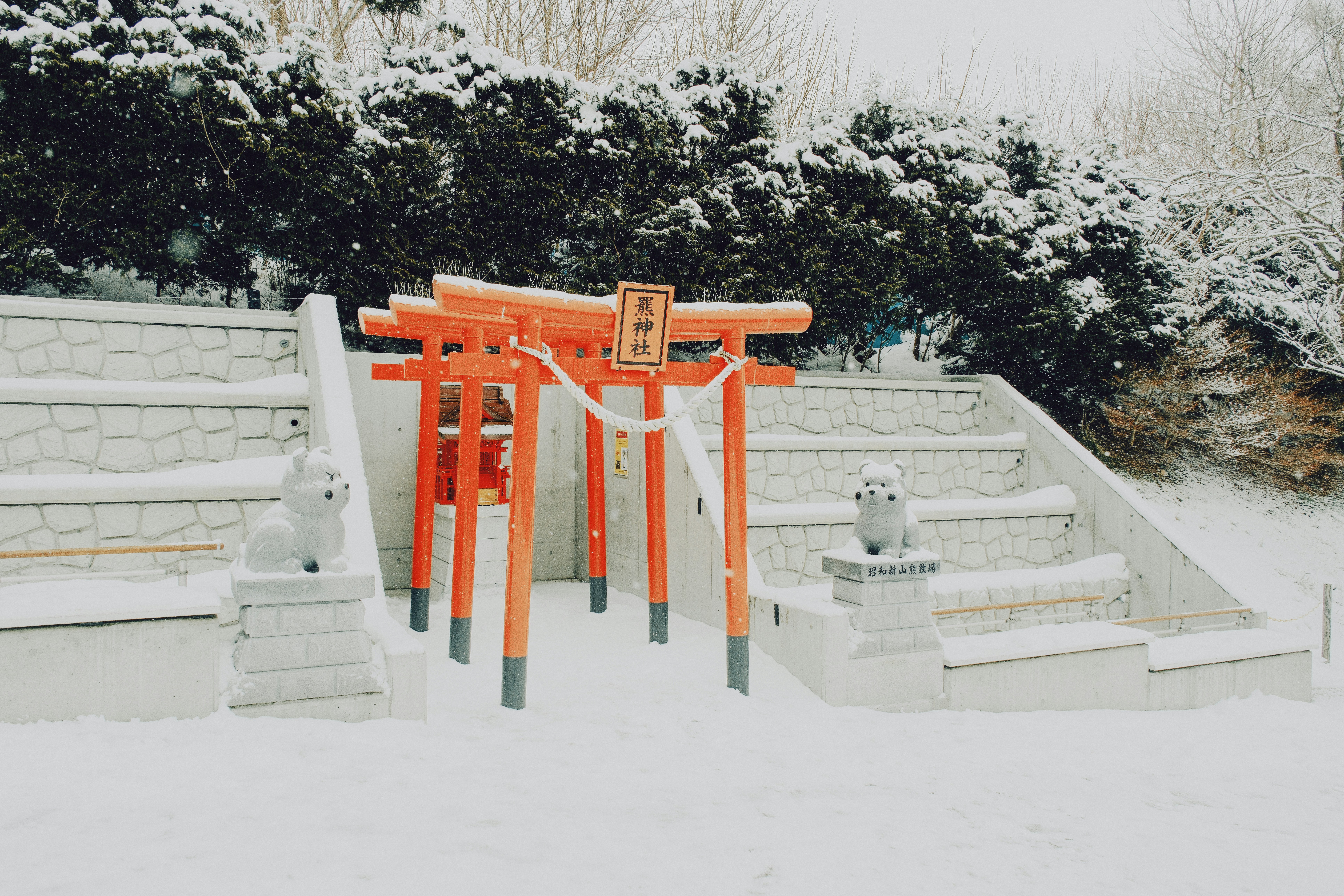 Crimson Torii Gate Poised Amid Snowy Shrine Steps