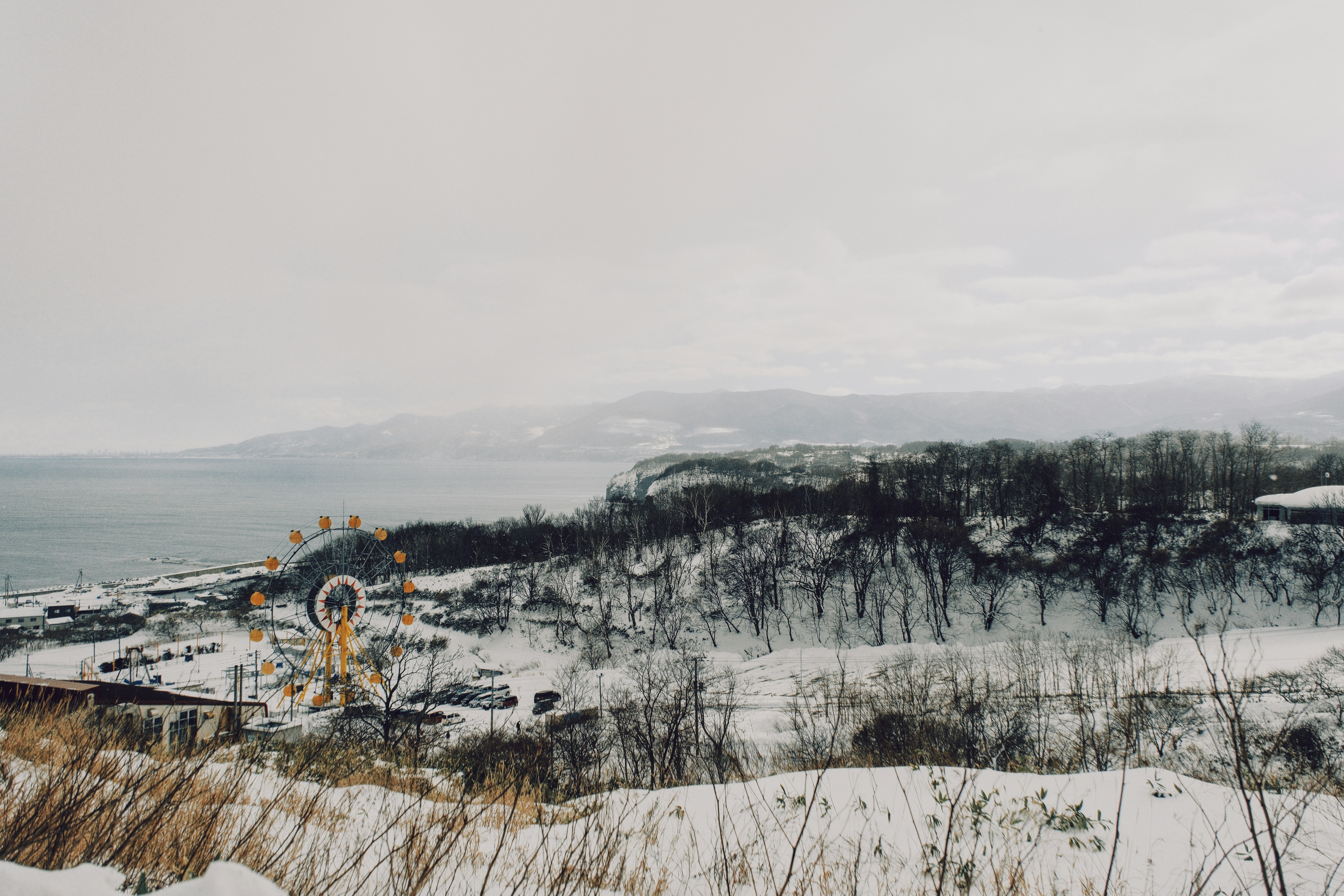 Winter Coastline with a Circular Ferris Landmark