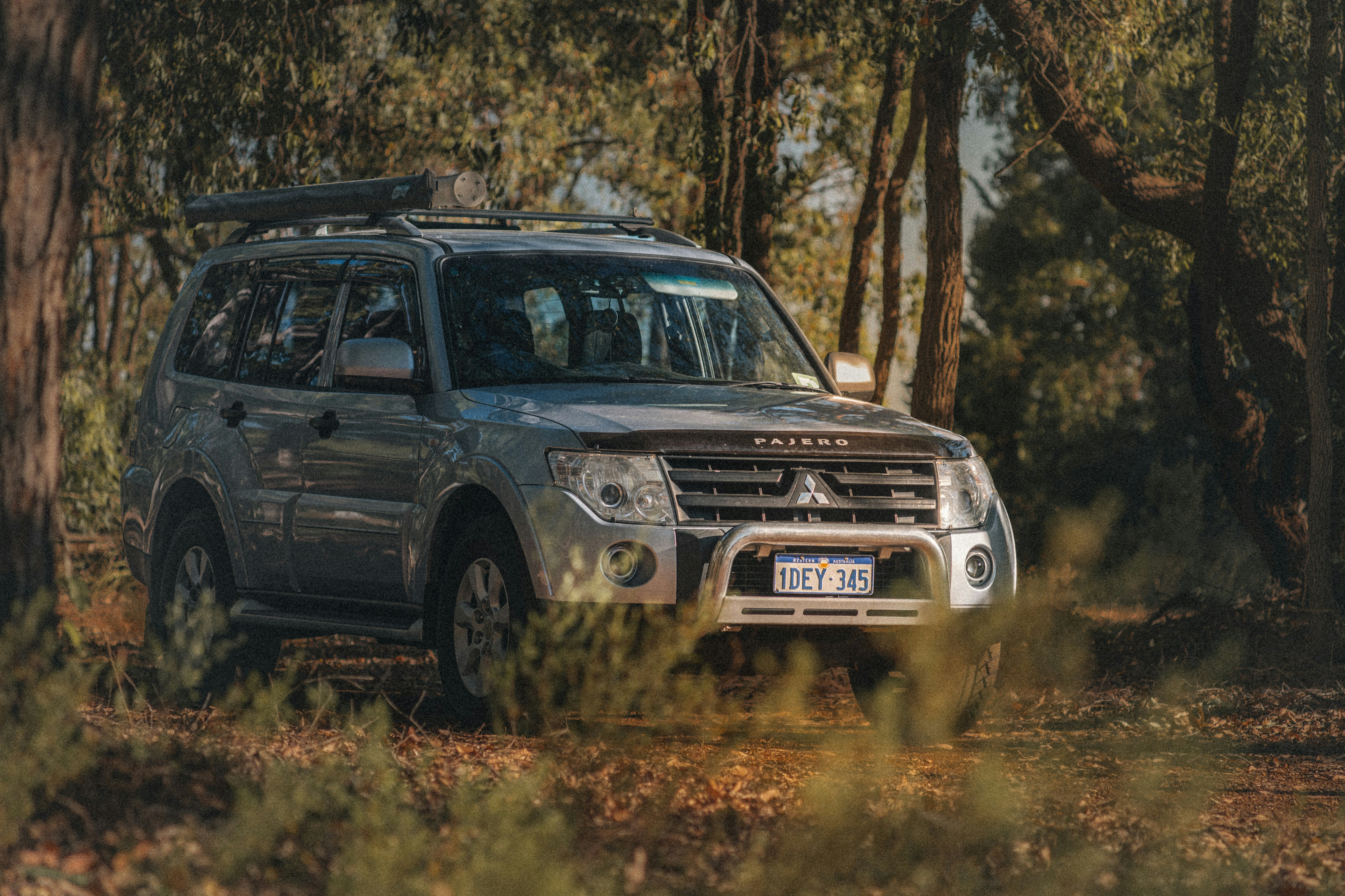 Dusty Trail Patrol: A chrome-rimmed SUV Anchors the Forest Road