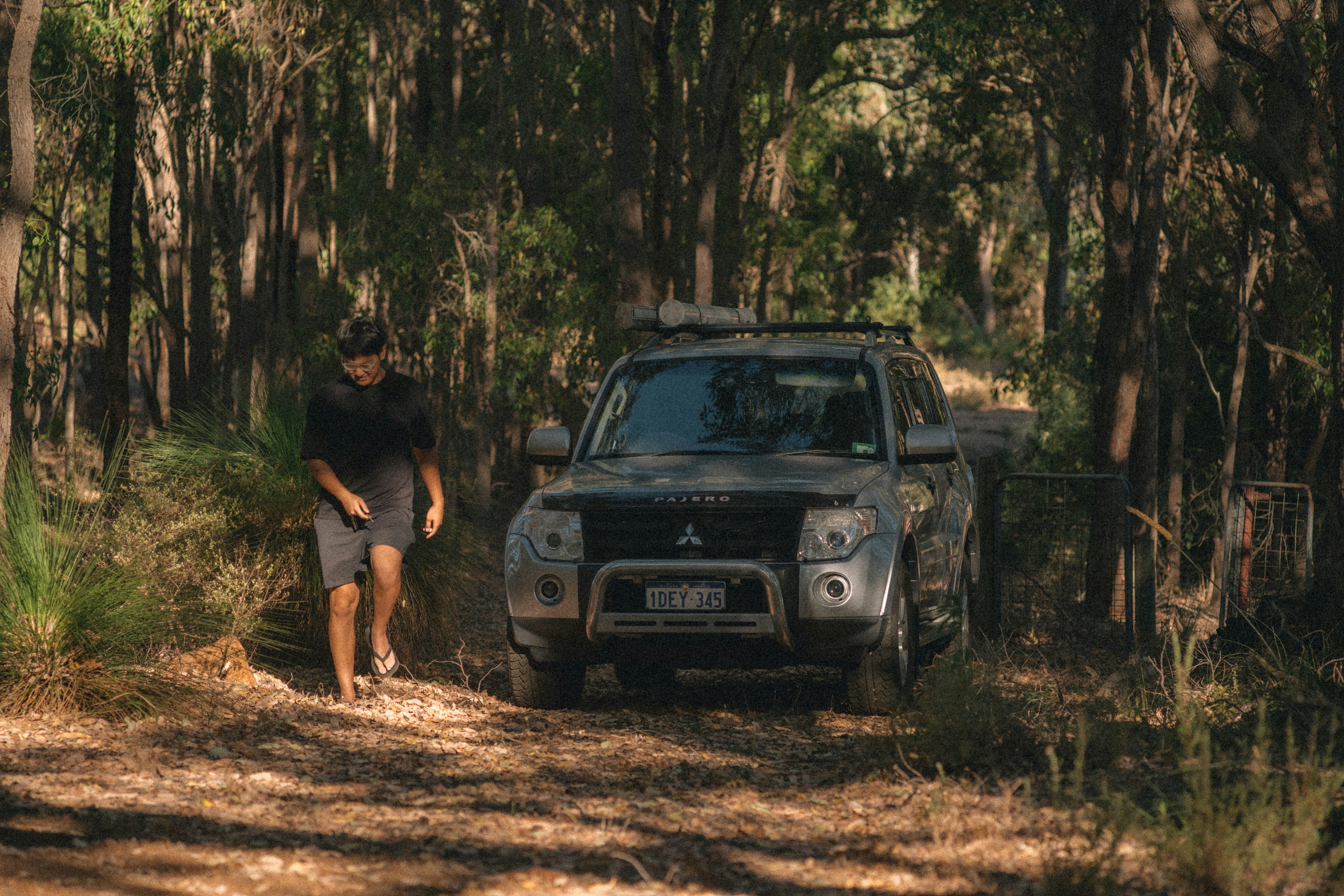 Forest Trail: The Road Less Taken