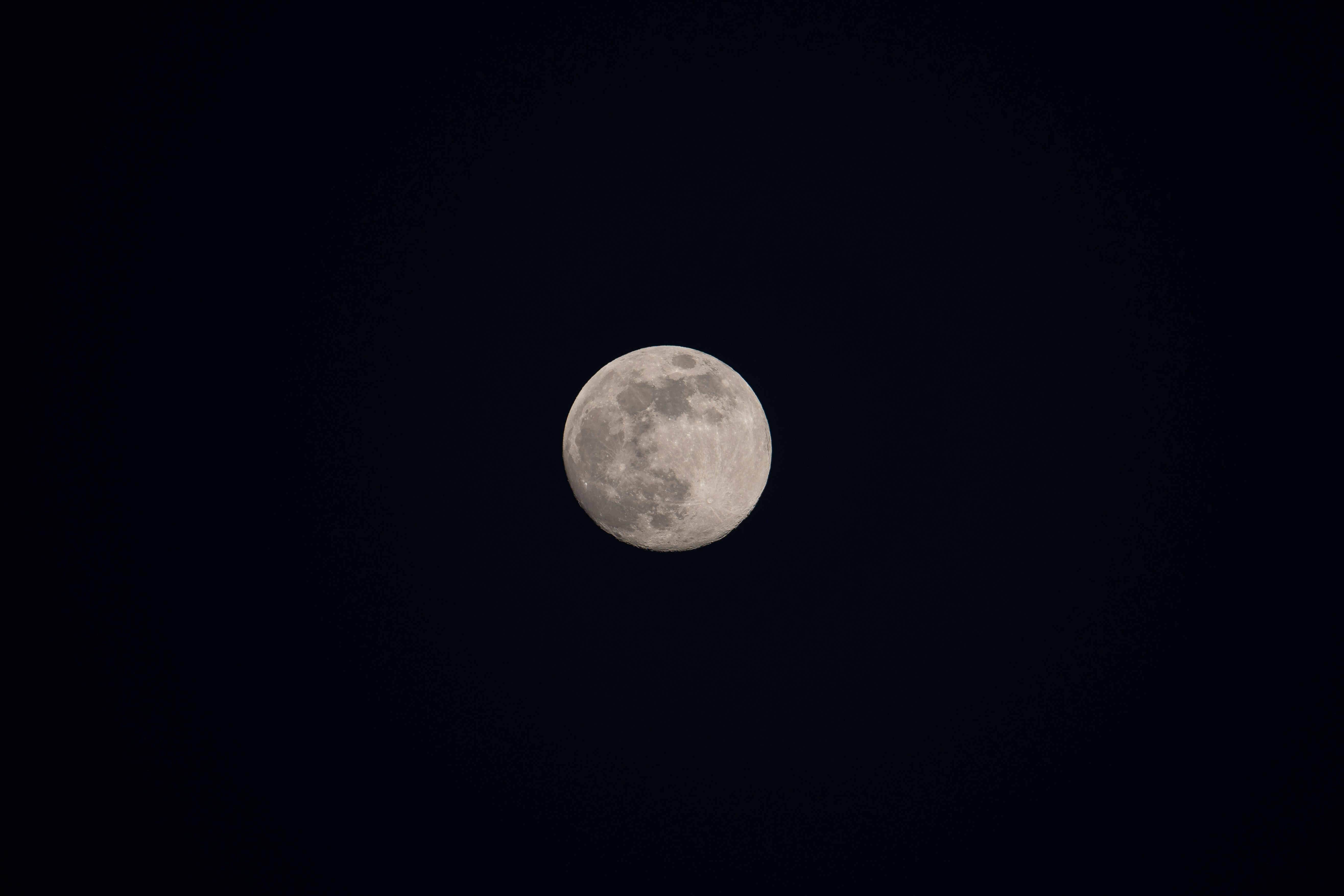 Lone Moon in a Velvet Sky