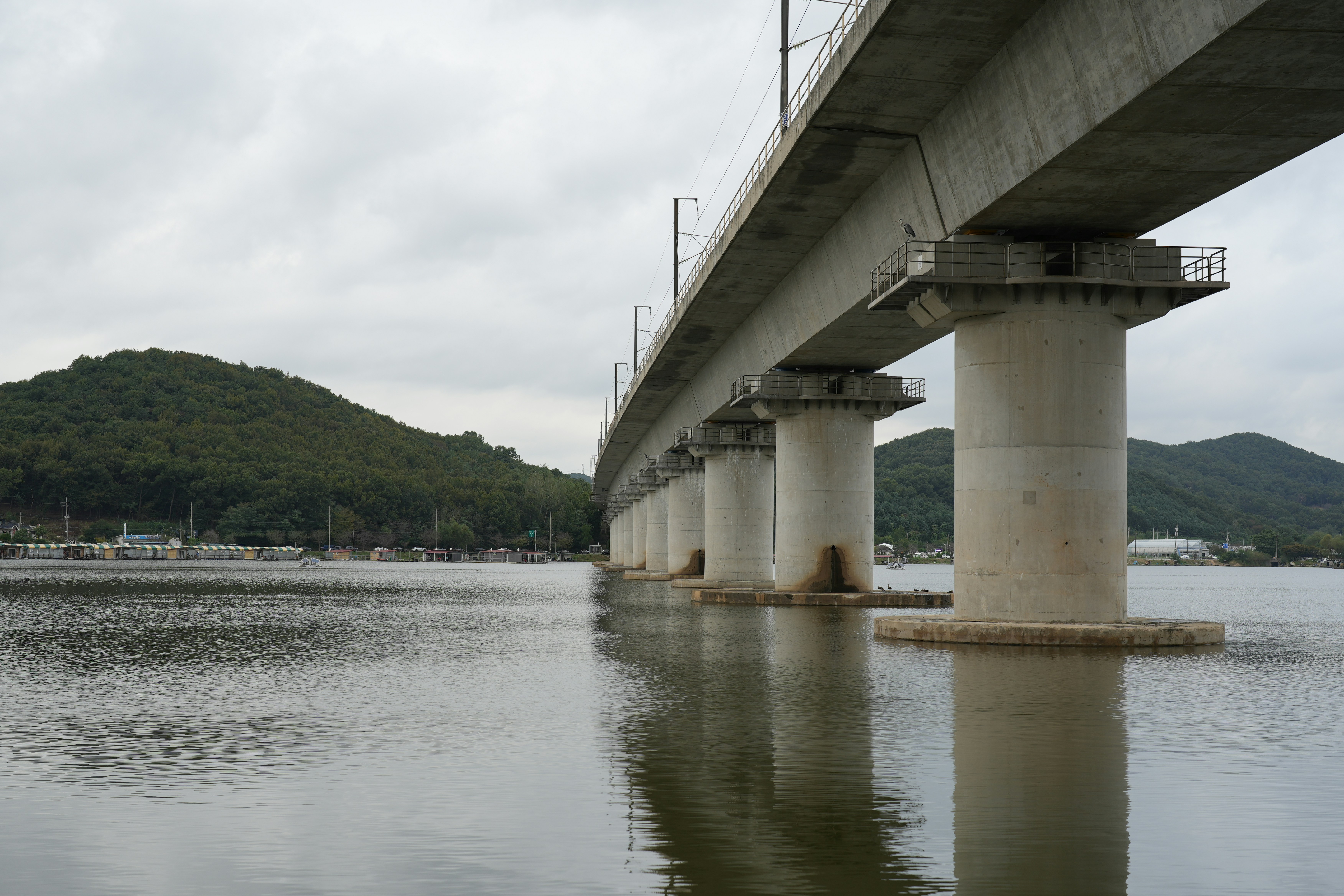 Bridge Recess: A Quiet Span over Reflective Waters