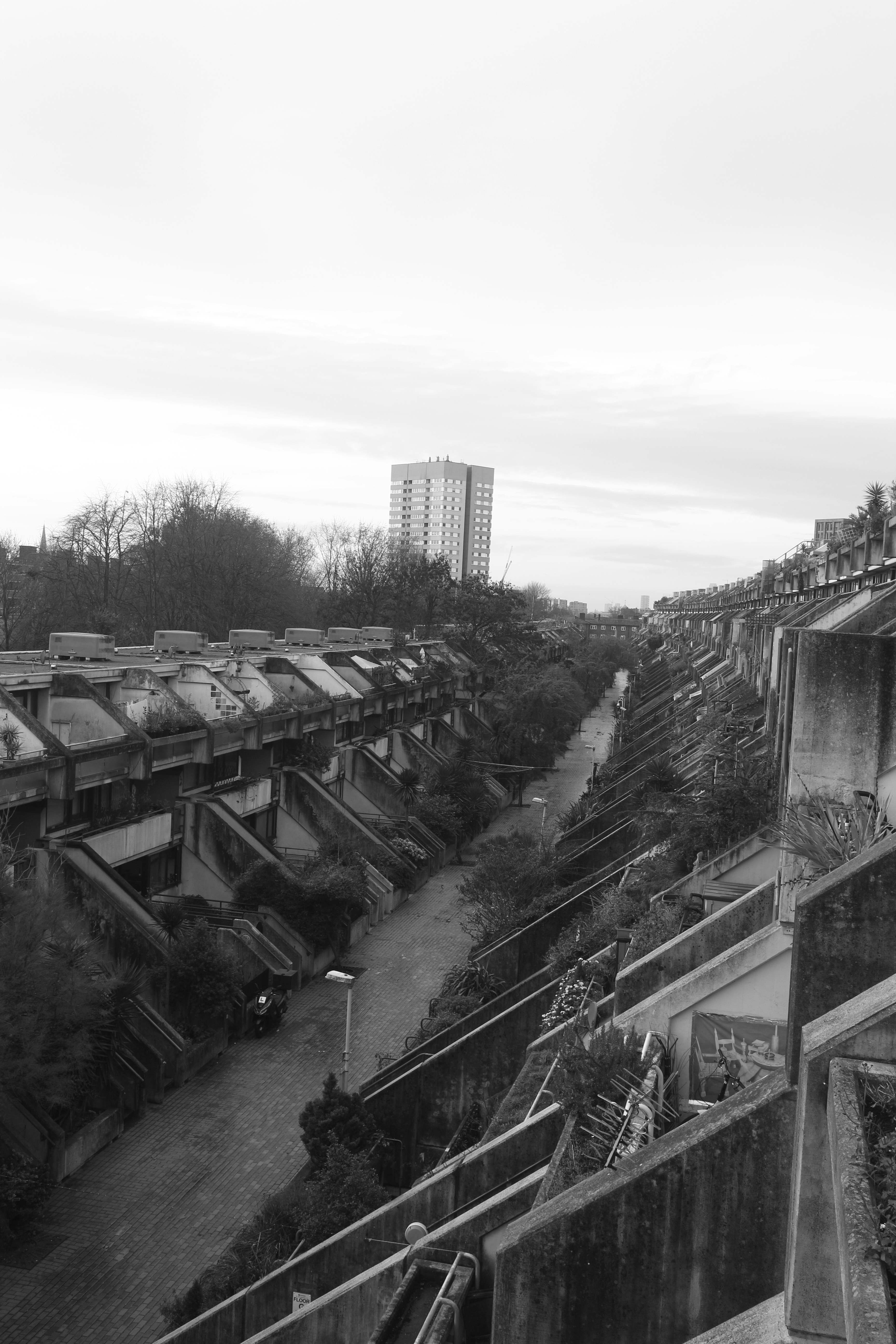 Urban Axis: A Narrow Canyon Between Slopes of Housing
