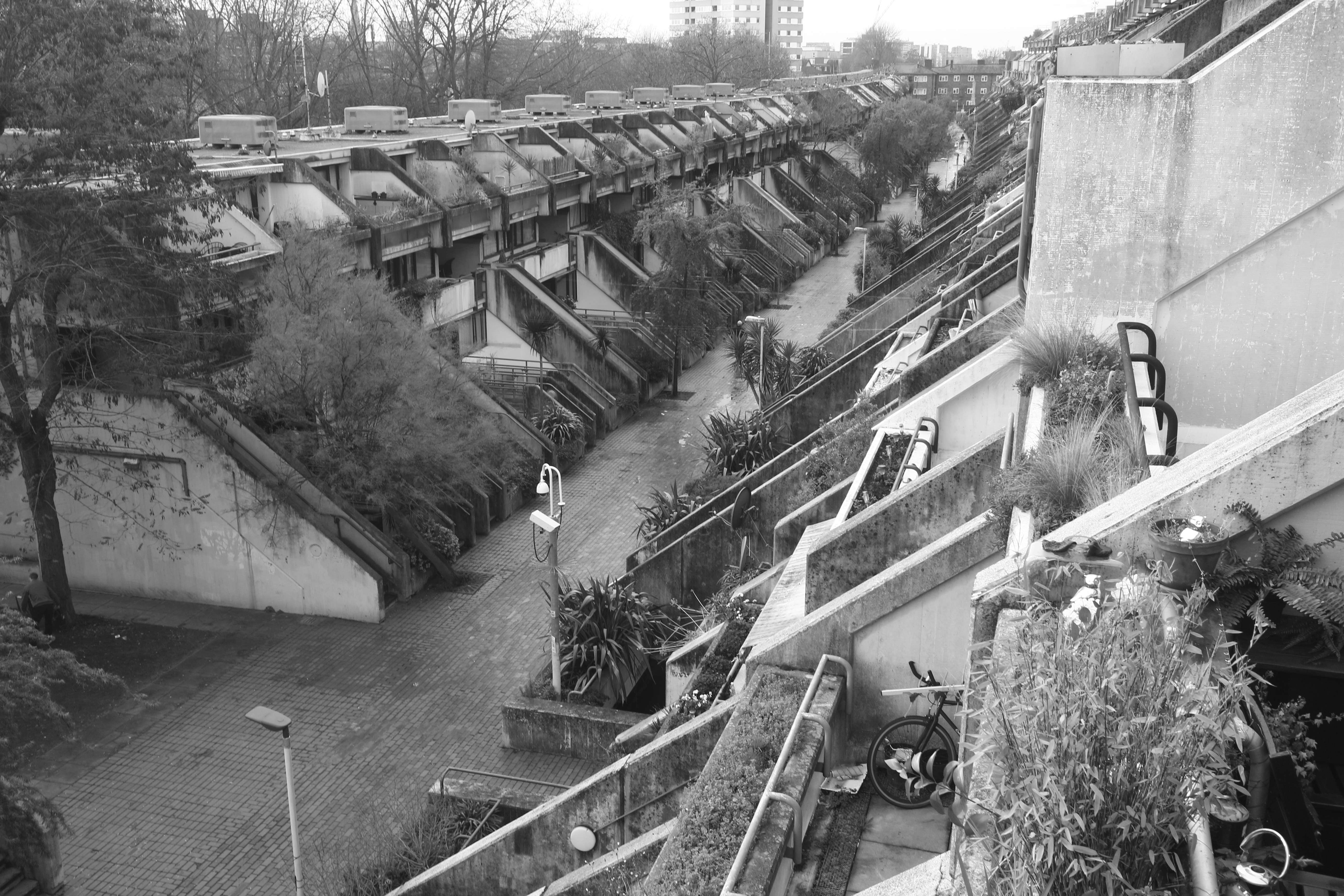 Terraced Concrete Echoes: Silent Steps along a Linear Ramp