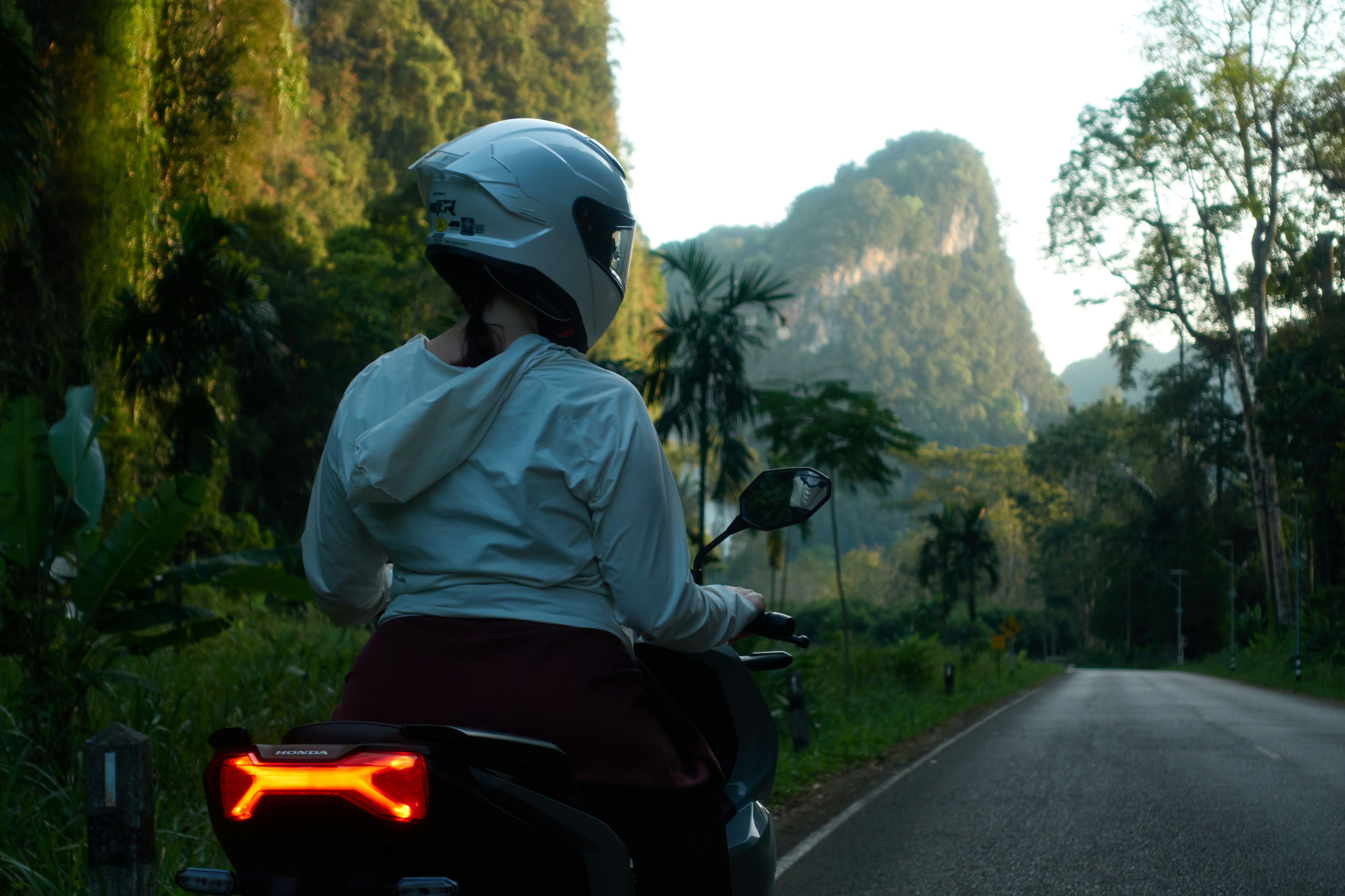Evening Ride Toward the Valley